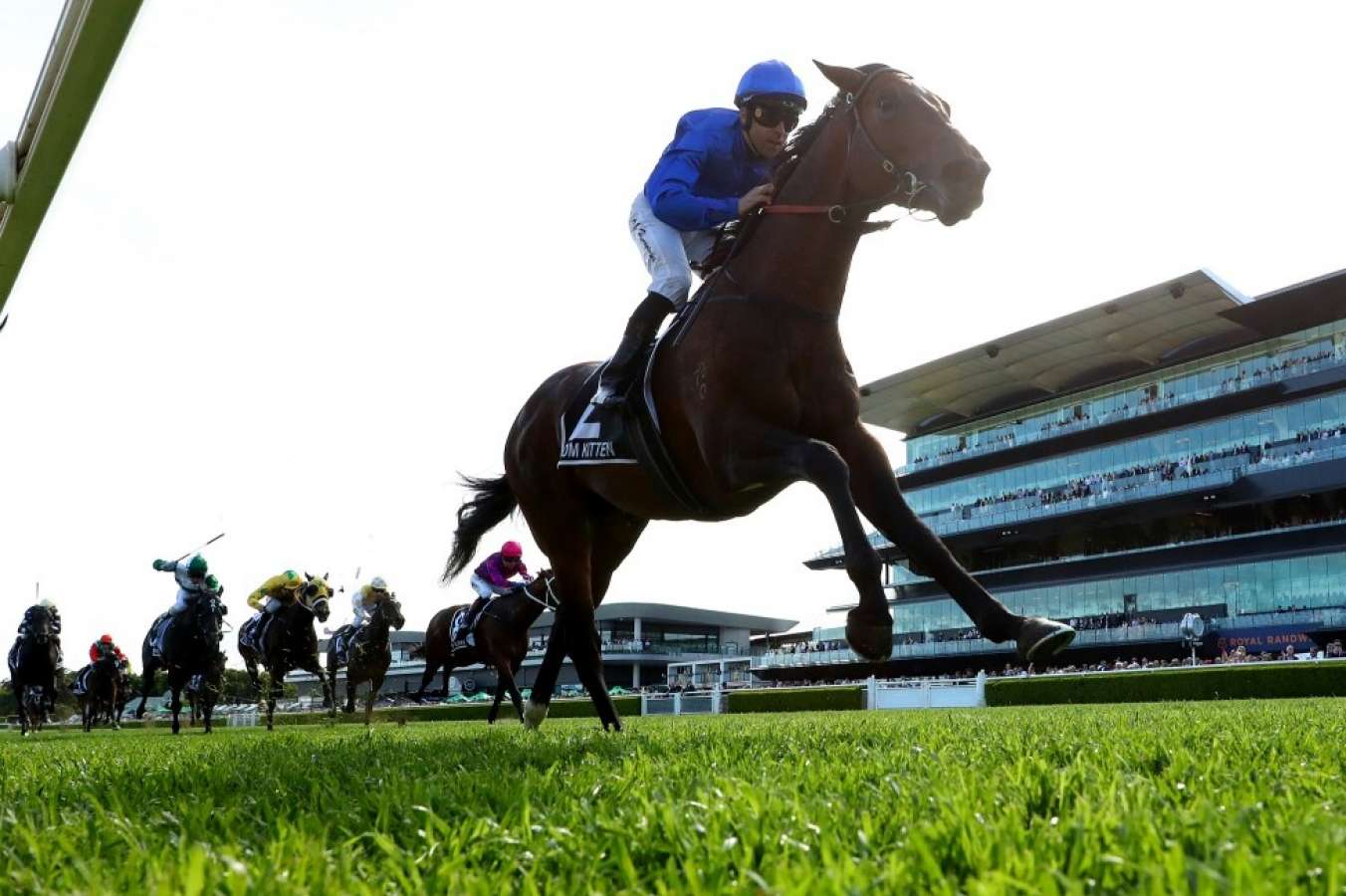 Trainer James Cummings previews his Saturday team