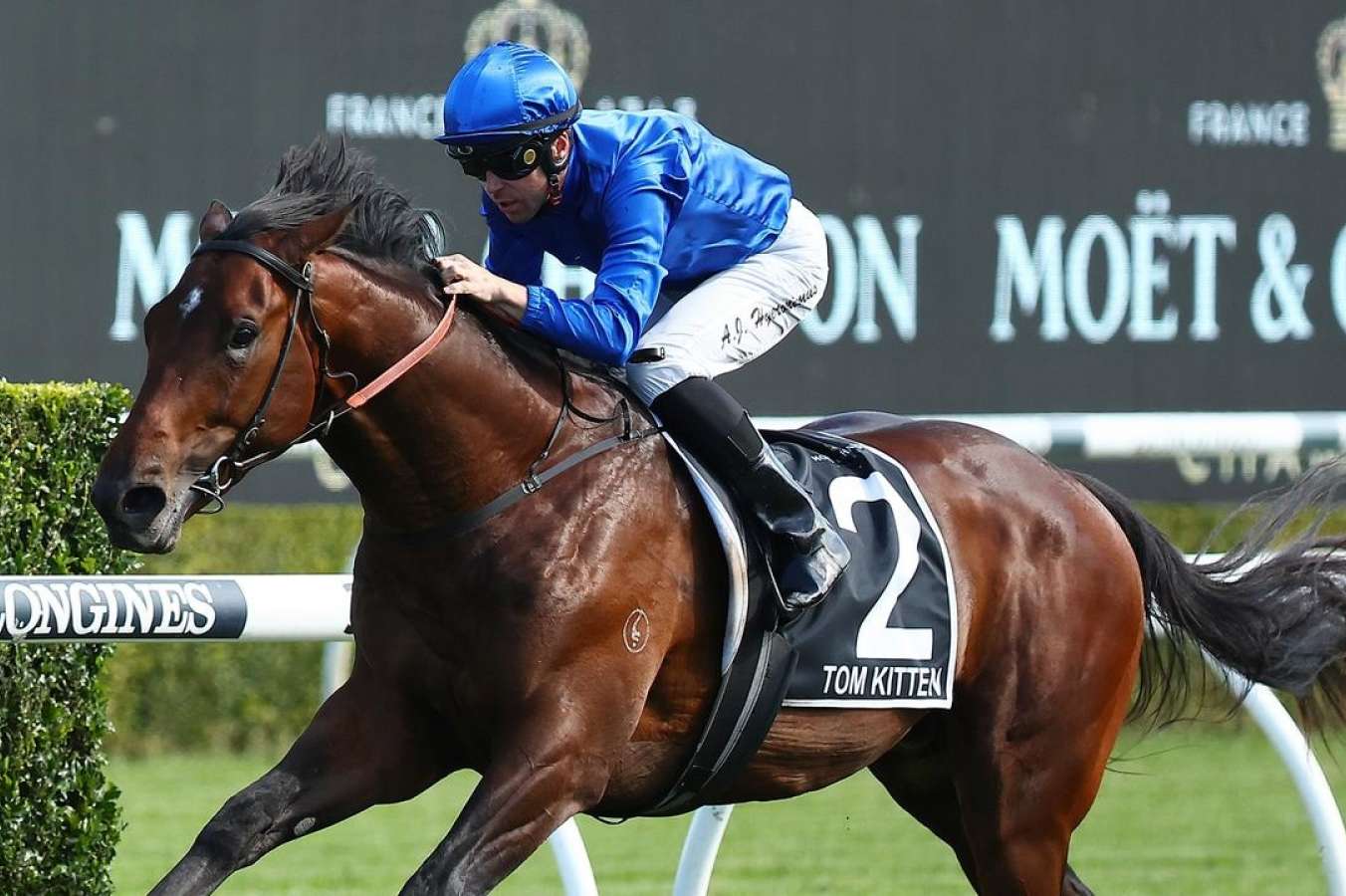 Well-fancied flops and forgives from Saturday's racing