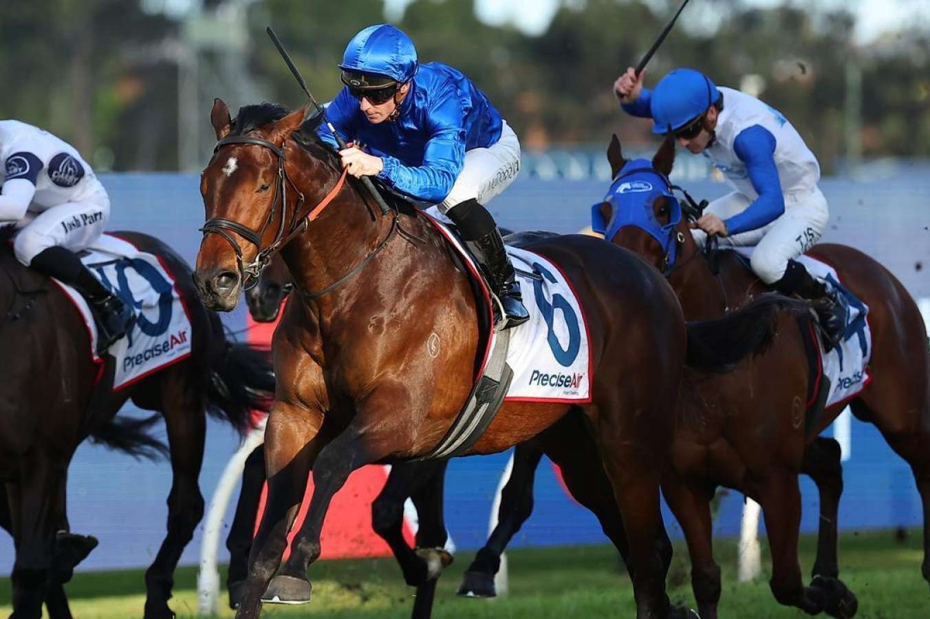 Tom Kitten roars into spring with a first-up win as a gelding