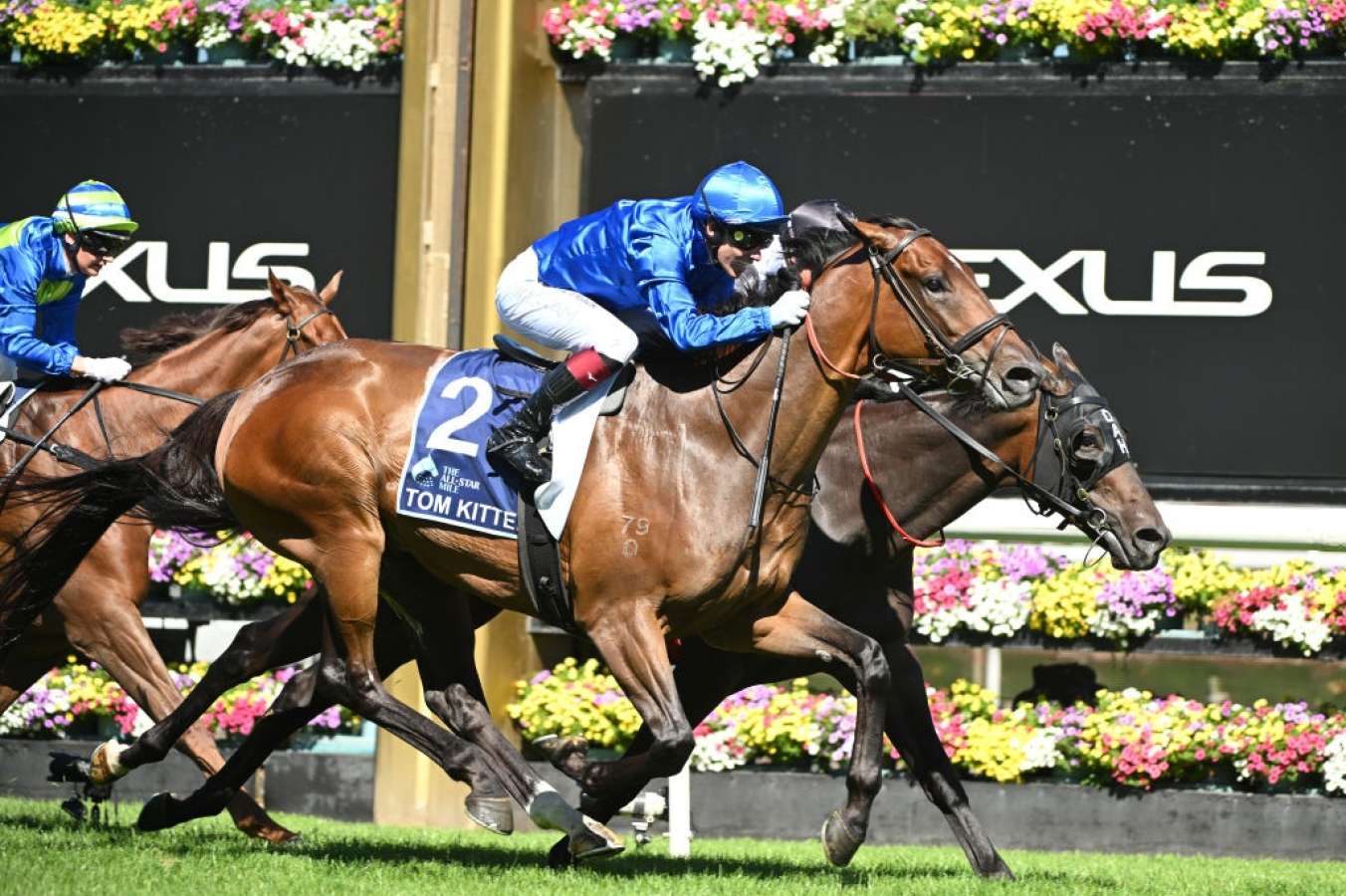 Cummings weighing up options for Broadsiding, Tom Kitten