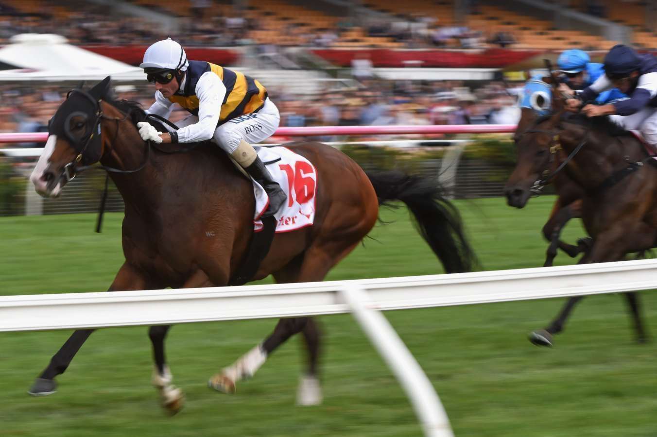 Cult figure Tom Melbourne ready for return