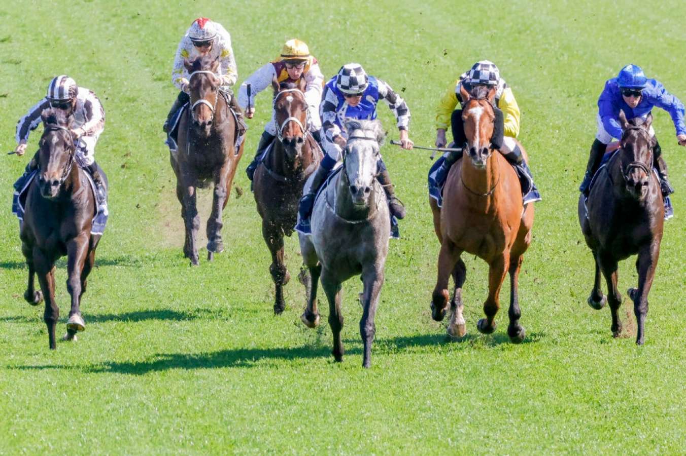 G3 Bill Ritchie: What the jockeys said after Top Ranked's win