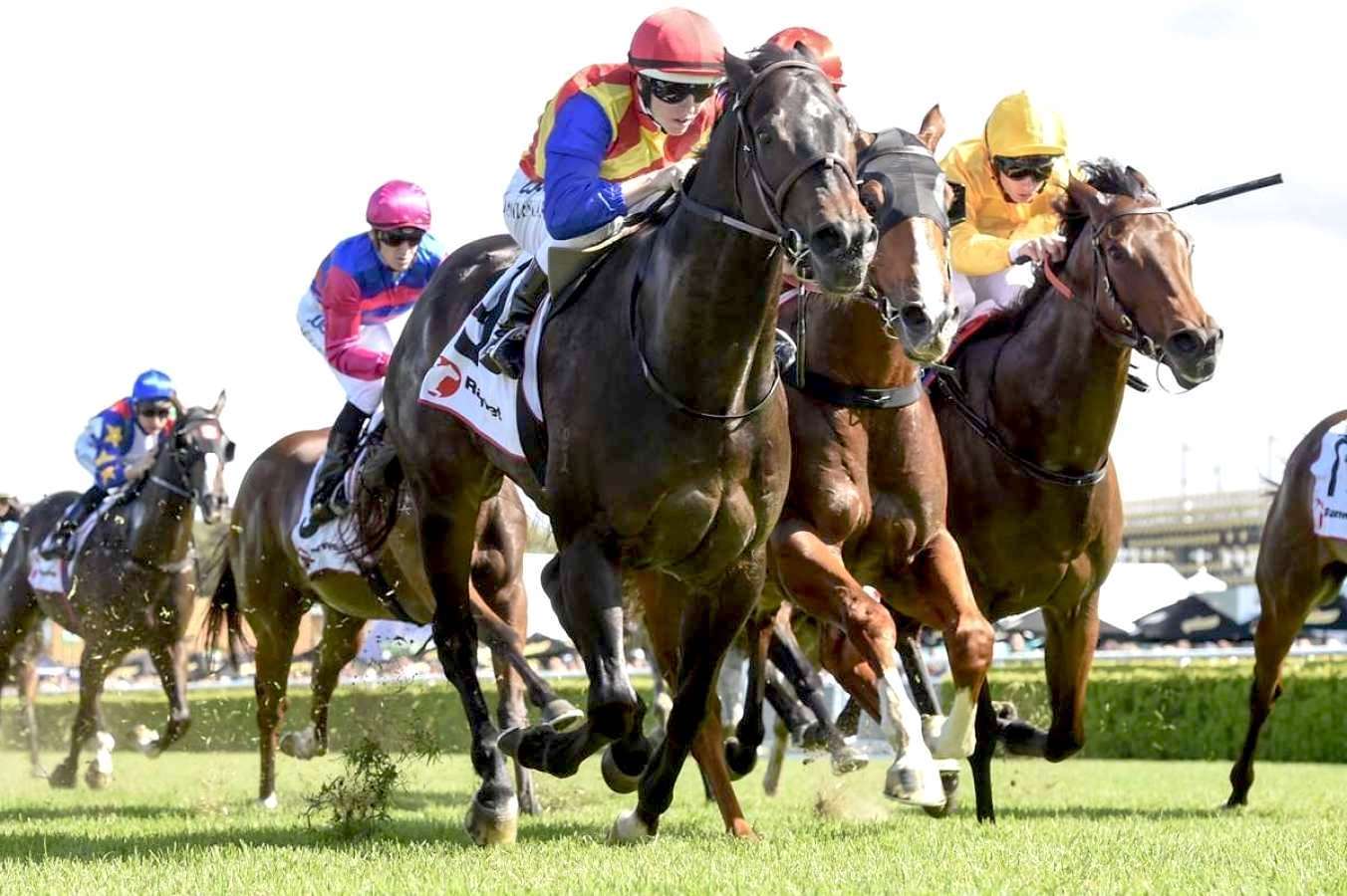 Sydney Striker poised to come out on Top
