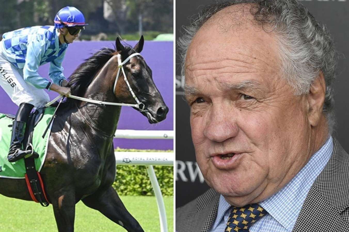 'What else am I going to do?' - My Last Hooray no last hurrah for Cleary