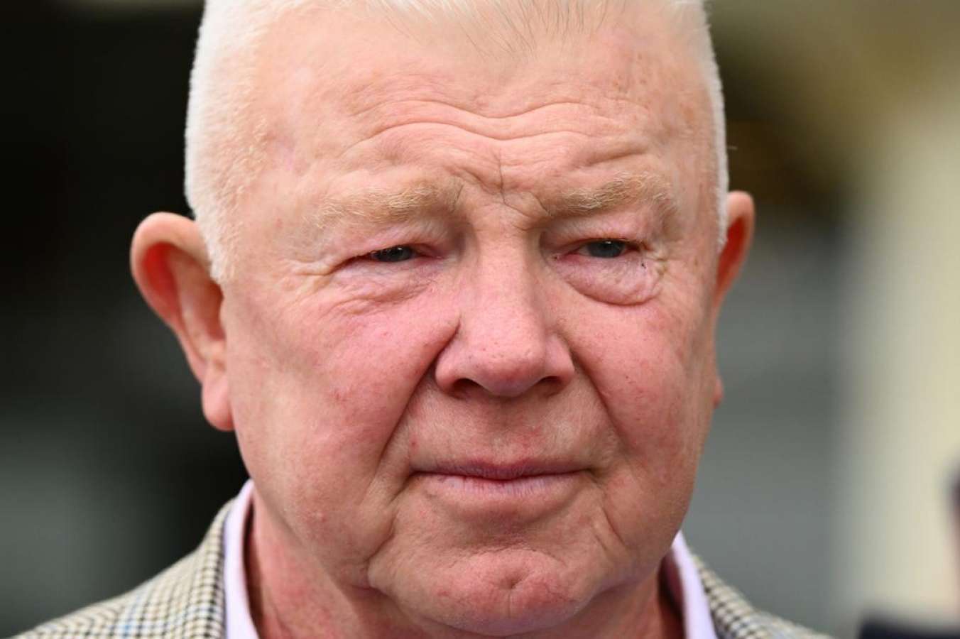 'What a heart': Horse's comeback almost brings trainer to tears