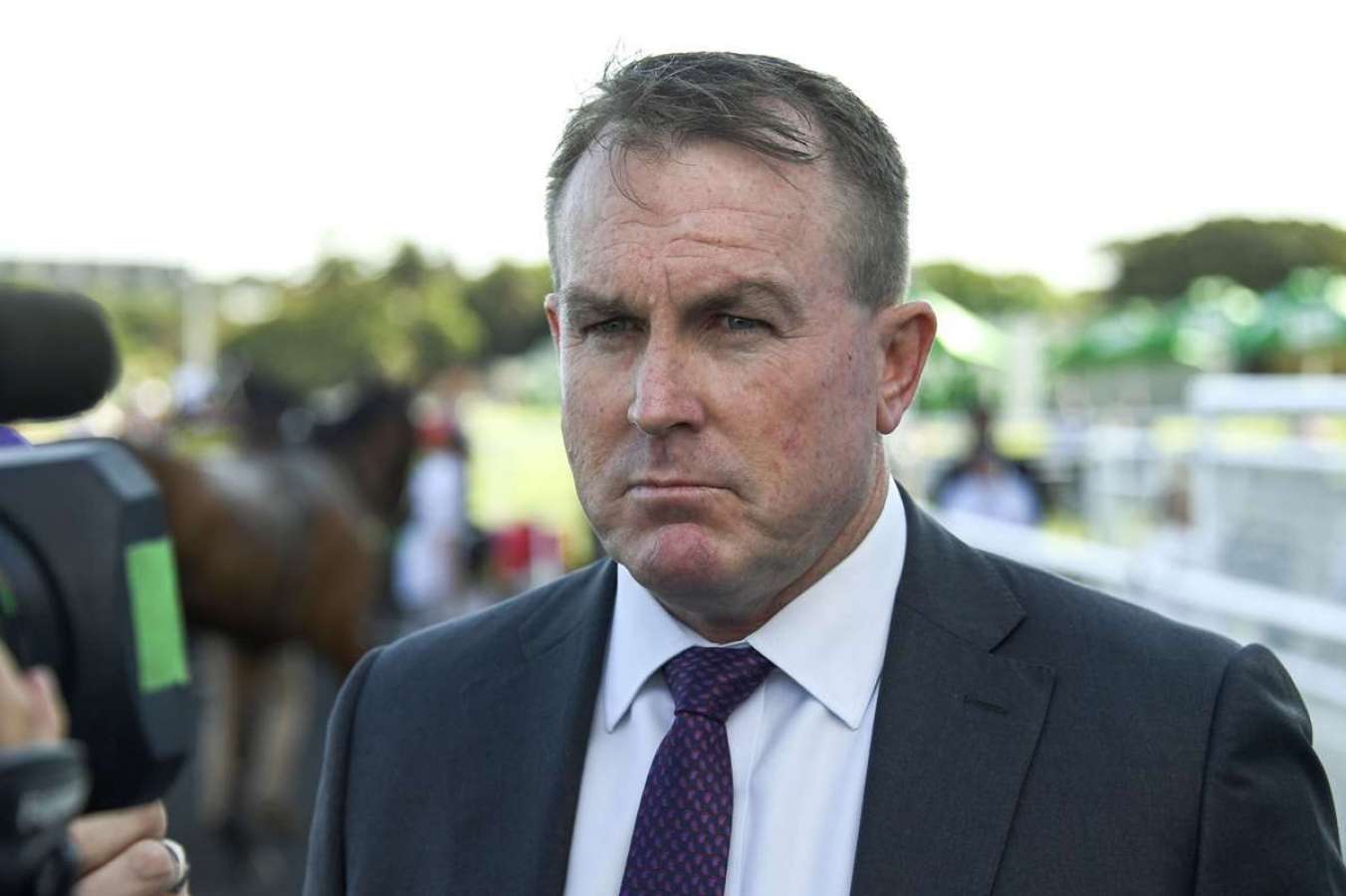 John O'Shea bullish about Newsreader's Kensington debut