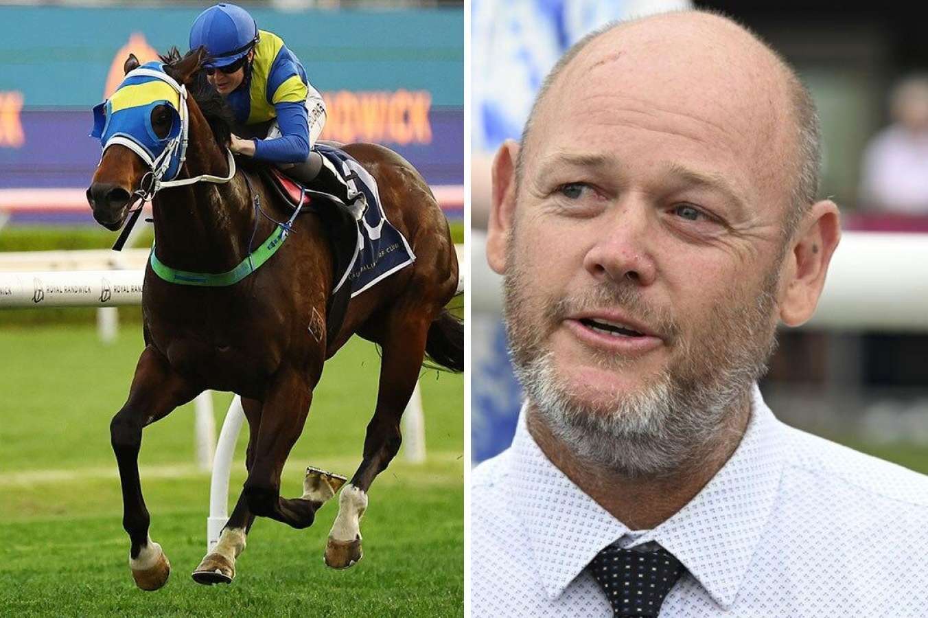 Trainer Scott Aspery on roll with $8,000 bargain buys Uzziah, Annulus