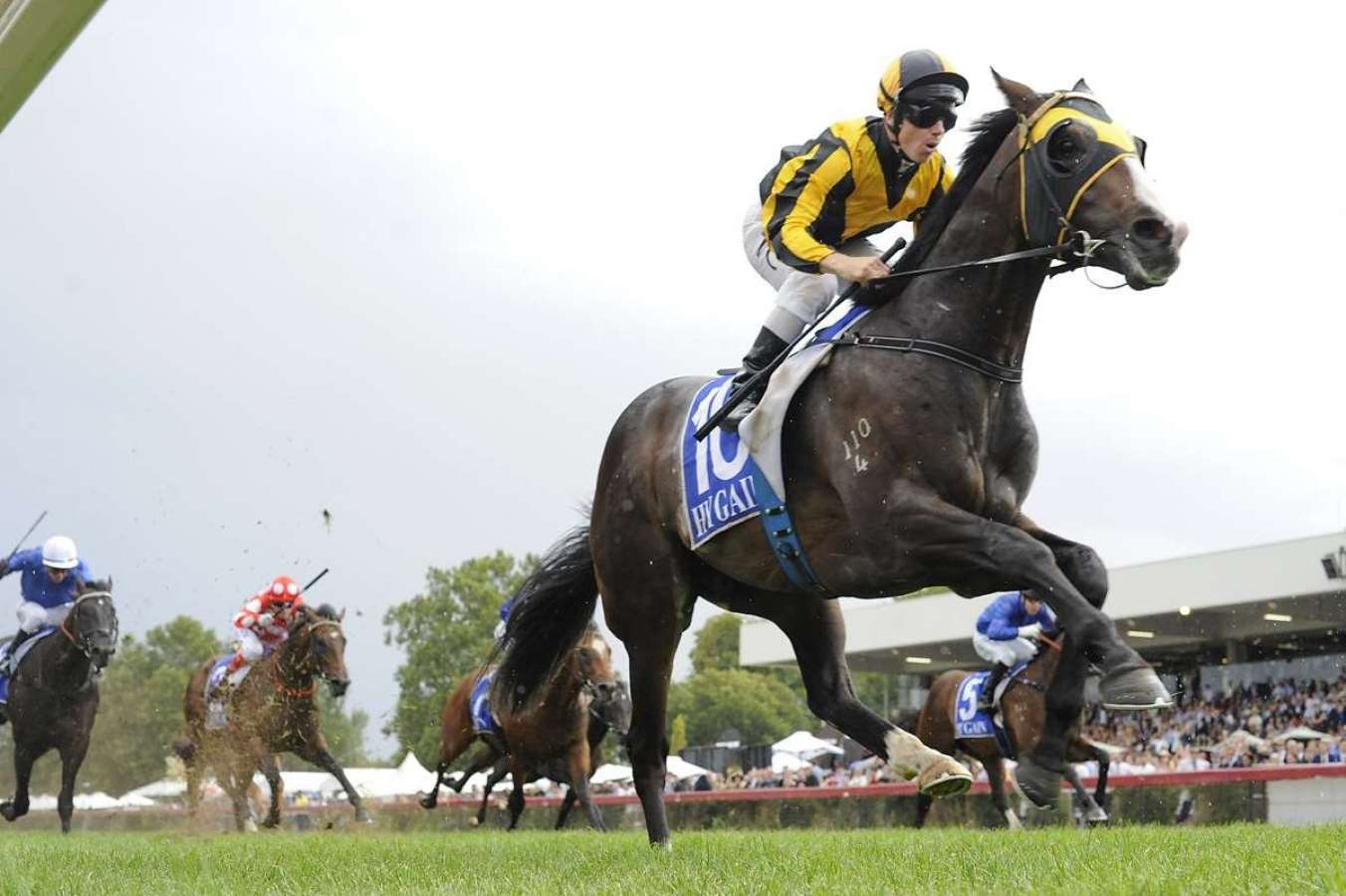 Trapeze Artist primed for another G1 test