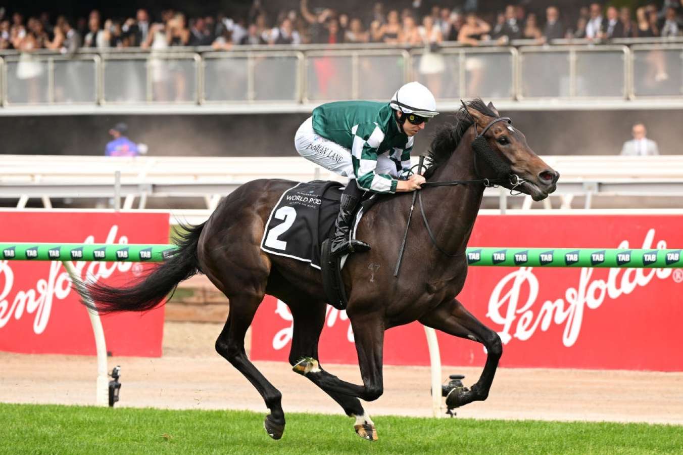 2024 Victoria Oaks tips: Clinton Payne's runner-by-runner form analysis