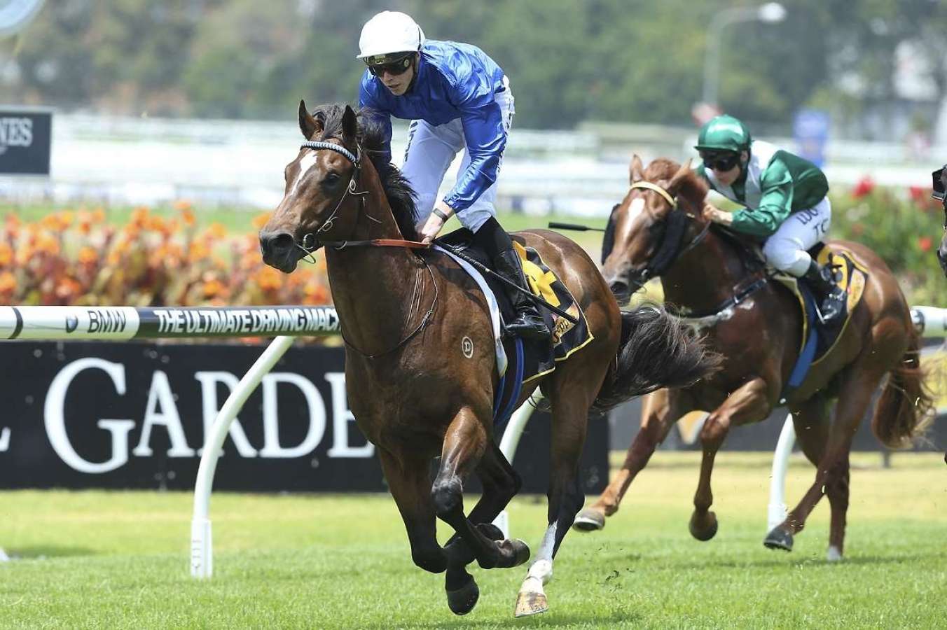 Rosehill preview