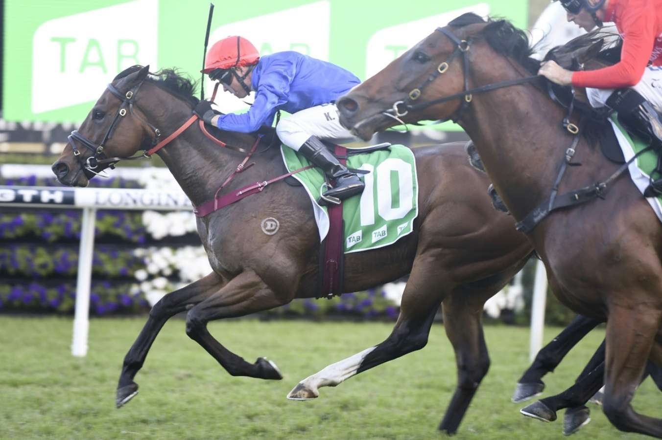 The inside word on Godolphin's runners at Randwick and Caulfield