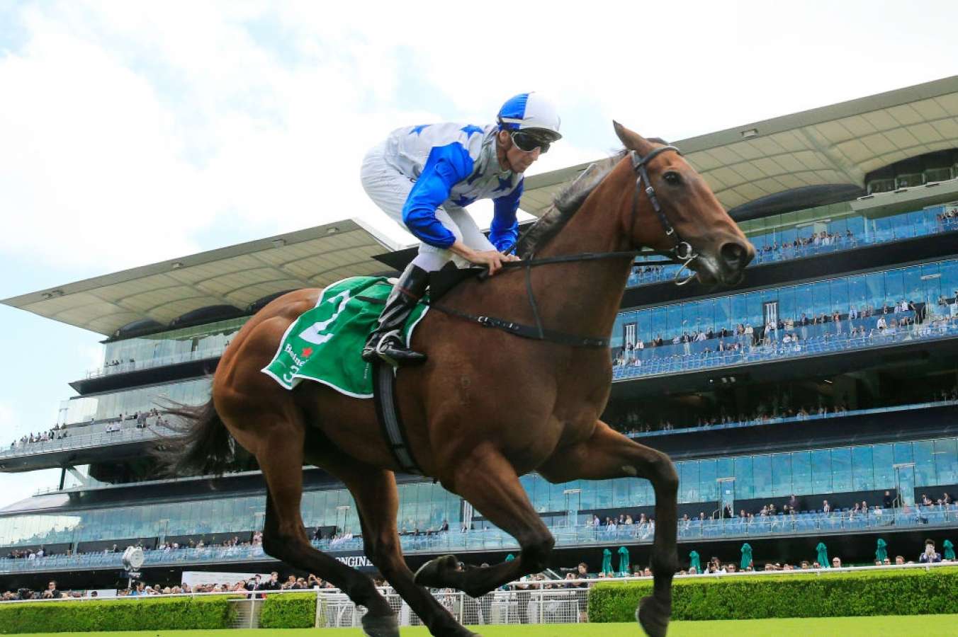 G1-winning sprinter The Bostonian out for spring carnival