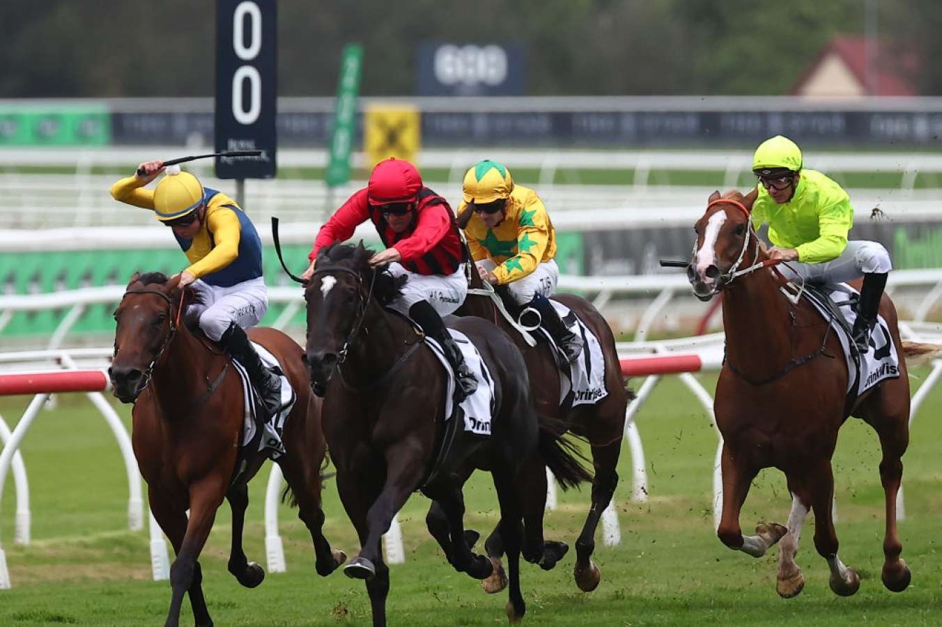 2024 Golden Pendant at Rosehill: Tropical Squall to bounce back