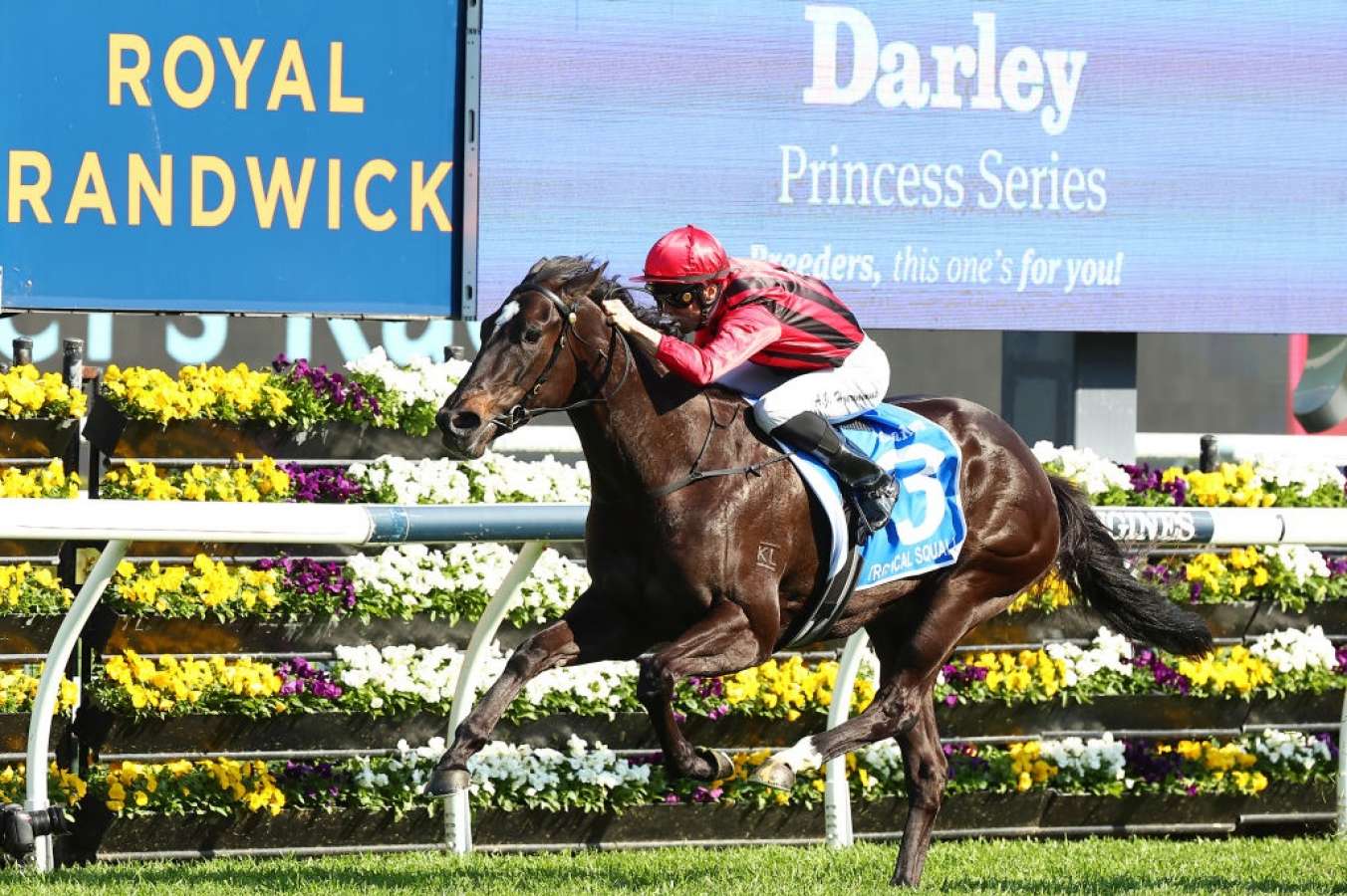 Tropical Squall continues Tulloch Lodge streak with Flight Stakes win