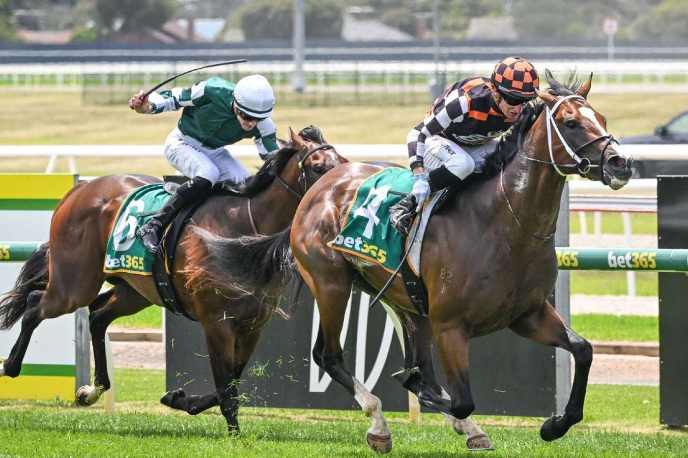 $1.3m colt Trunk set to prove his worth in the Inglis Millennium