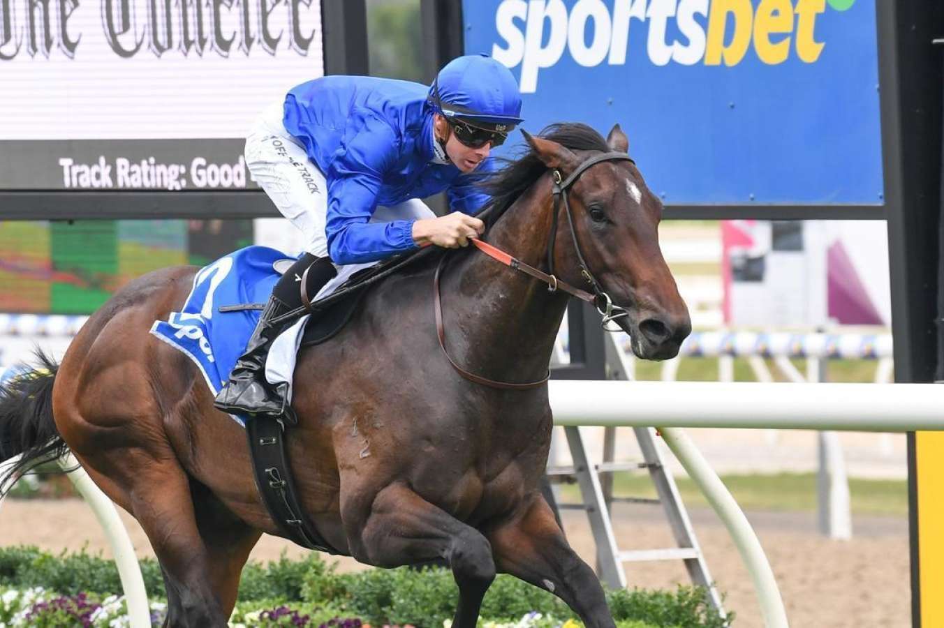 Aleppo Pine emerges as a Blue Diamond contender with dominant win at ...
