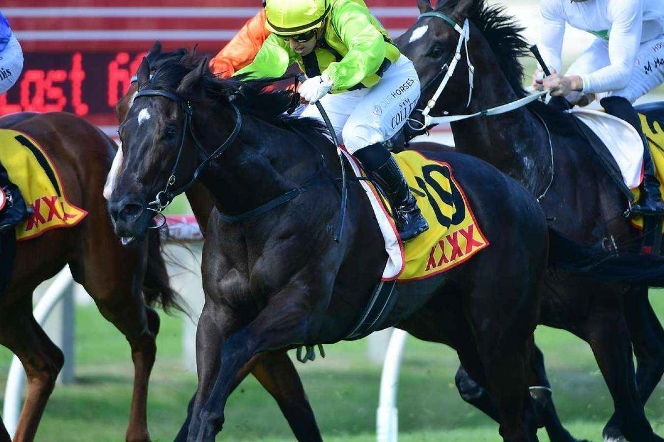 'Extraordinary win': Unbeaten filly to frank Magic Millions credentials