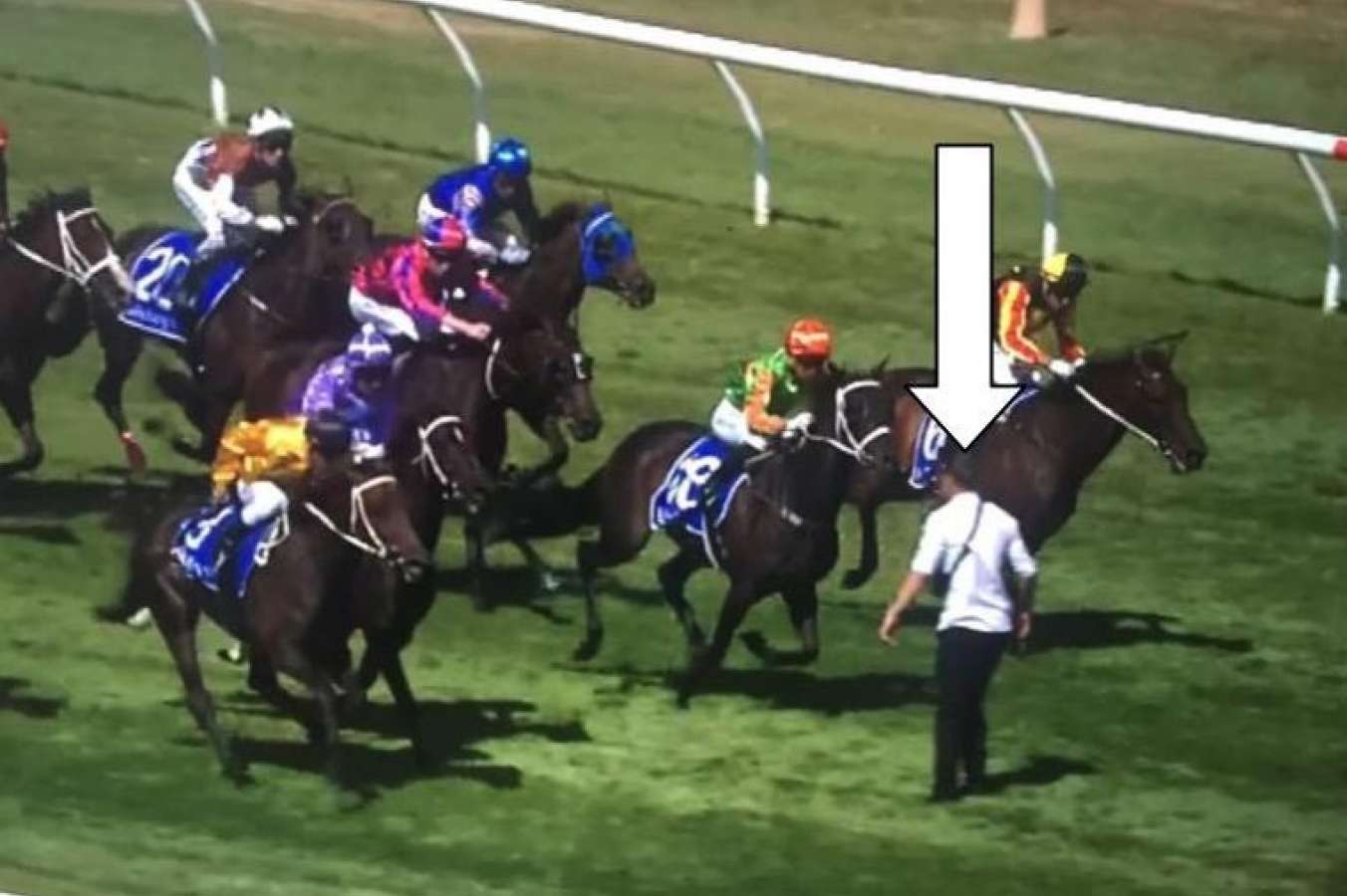 Wellington Cup day track invader evades jail