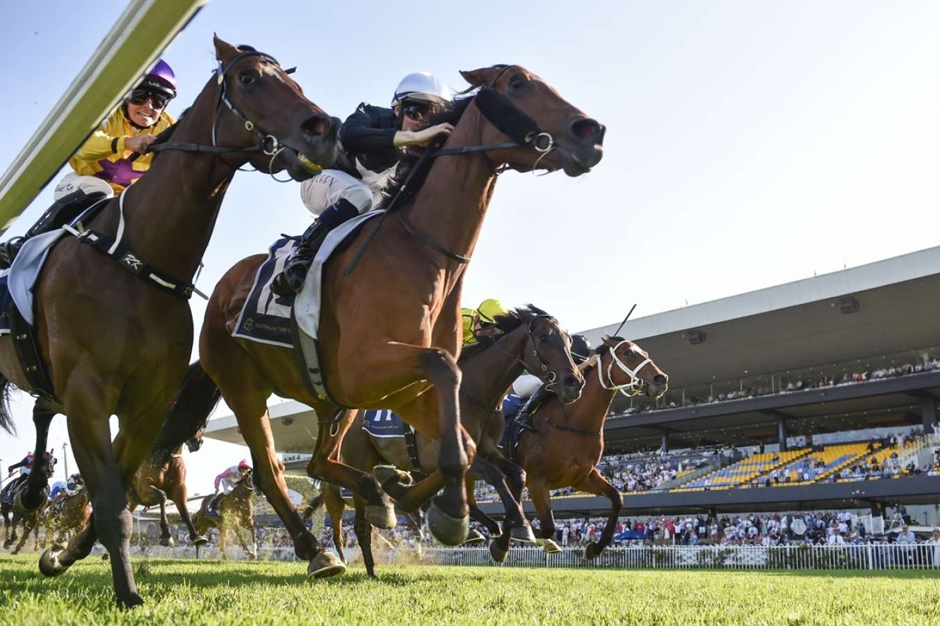 The Five Diamonds Tips - 2024