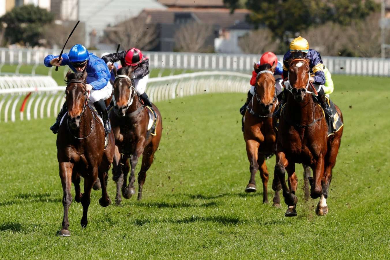 WATCH: Boom horse Masked Crusader beaten first-up at Randwick