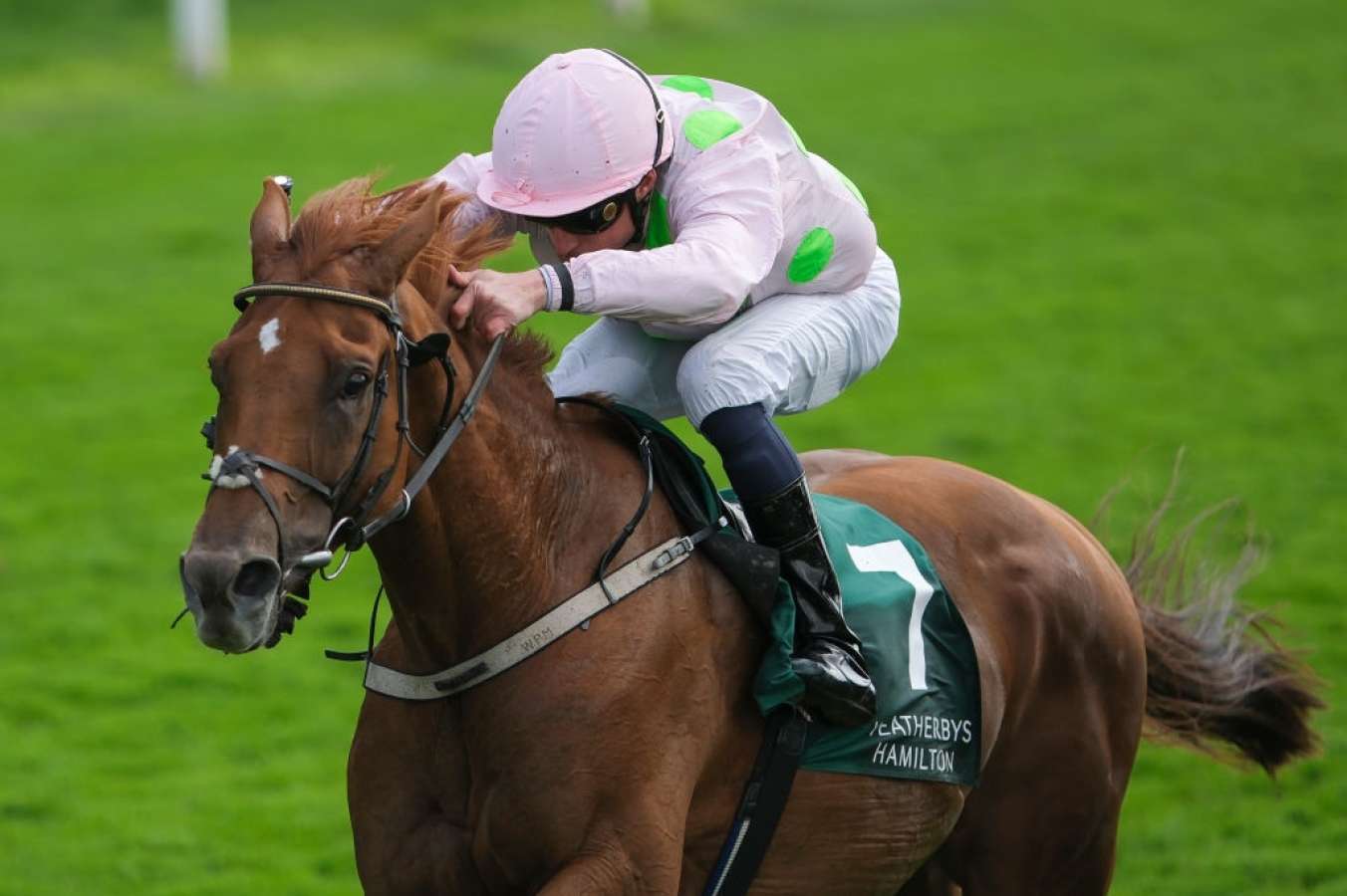2024 Melbourne Cup betting: Vauban promoted after Irish St Leger second