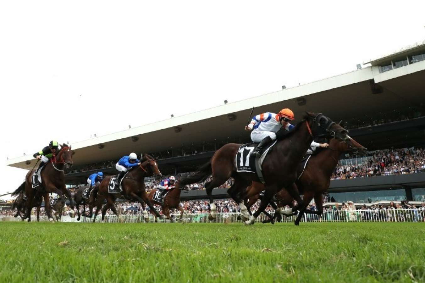 Big Bets Review: The hits and misses from Golden Slipper day