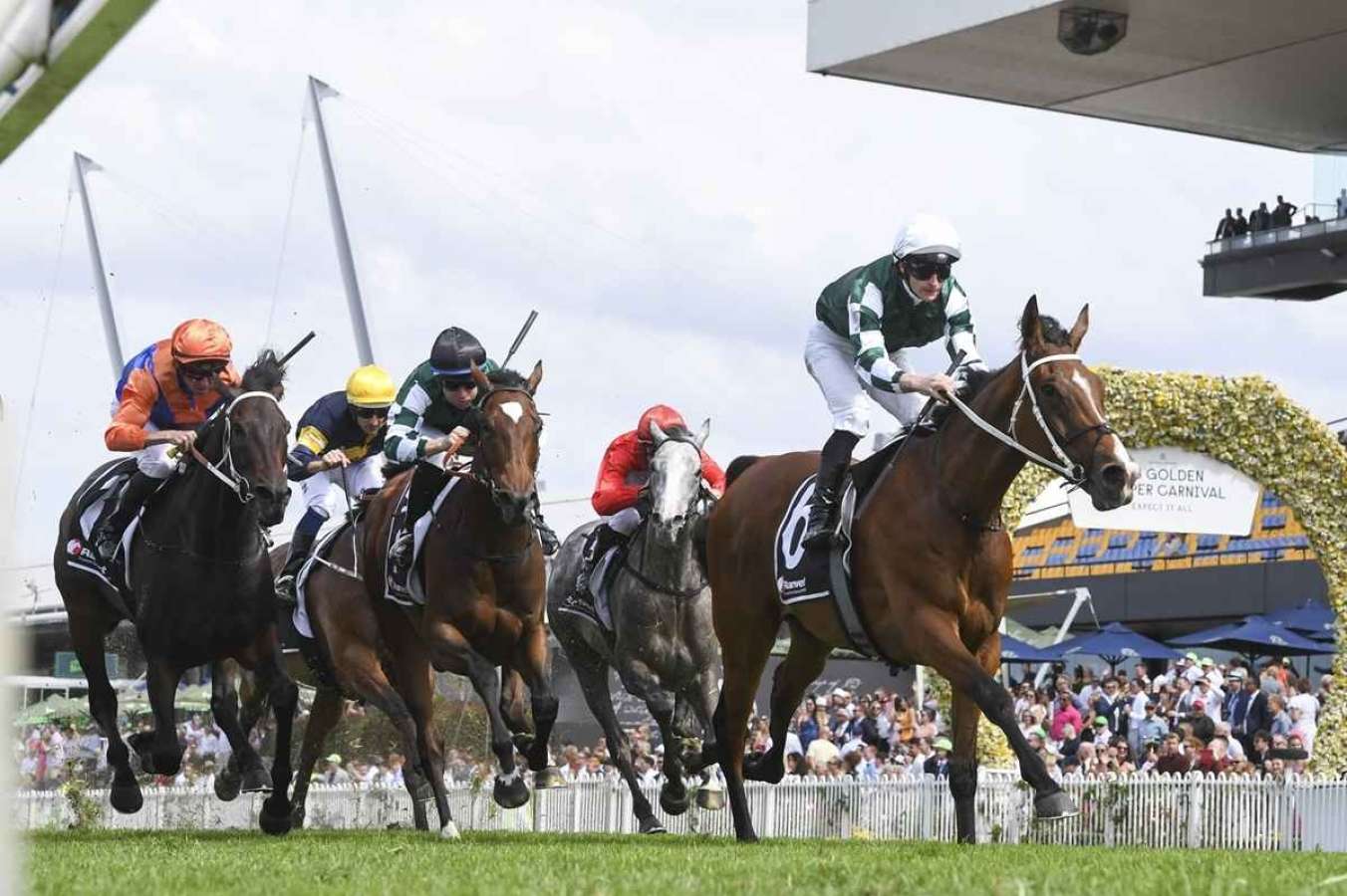 Ranvet Stakes Field - 2025