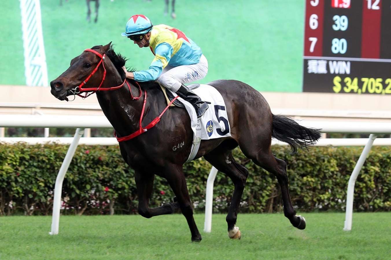 Victor The Winner continues excellent debut season