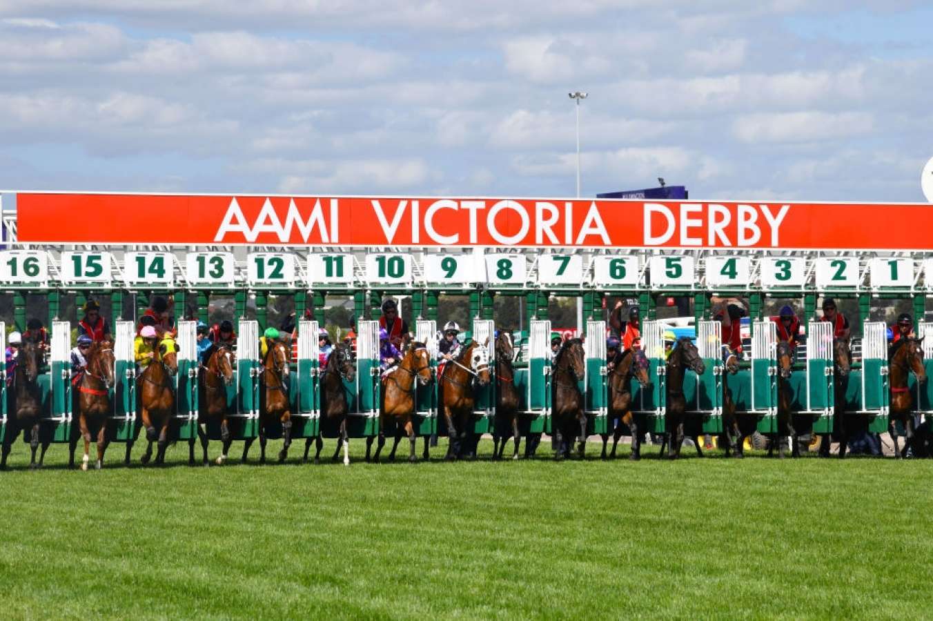 Victoria Derby final field