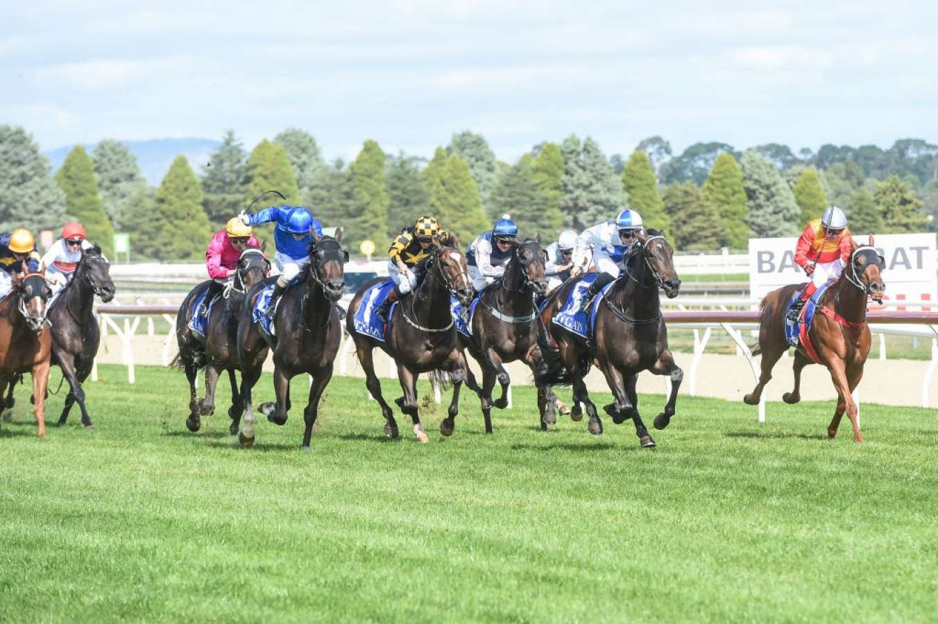 Racing Victoria to trial race-free week