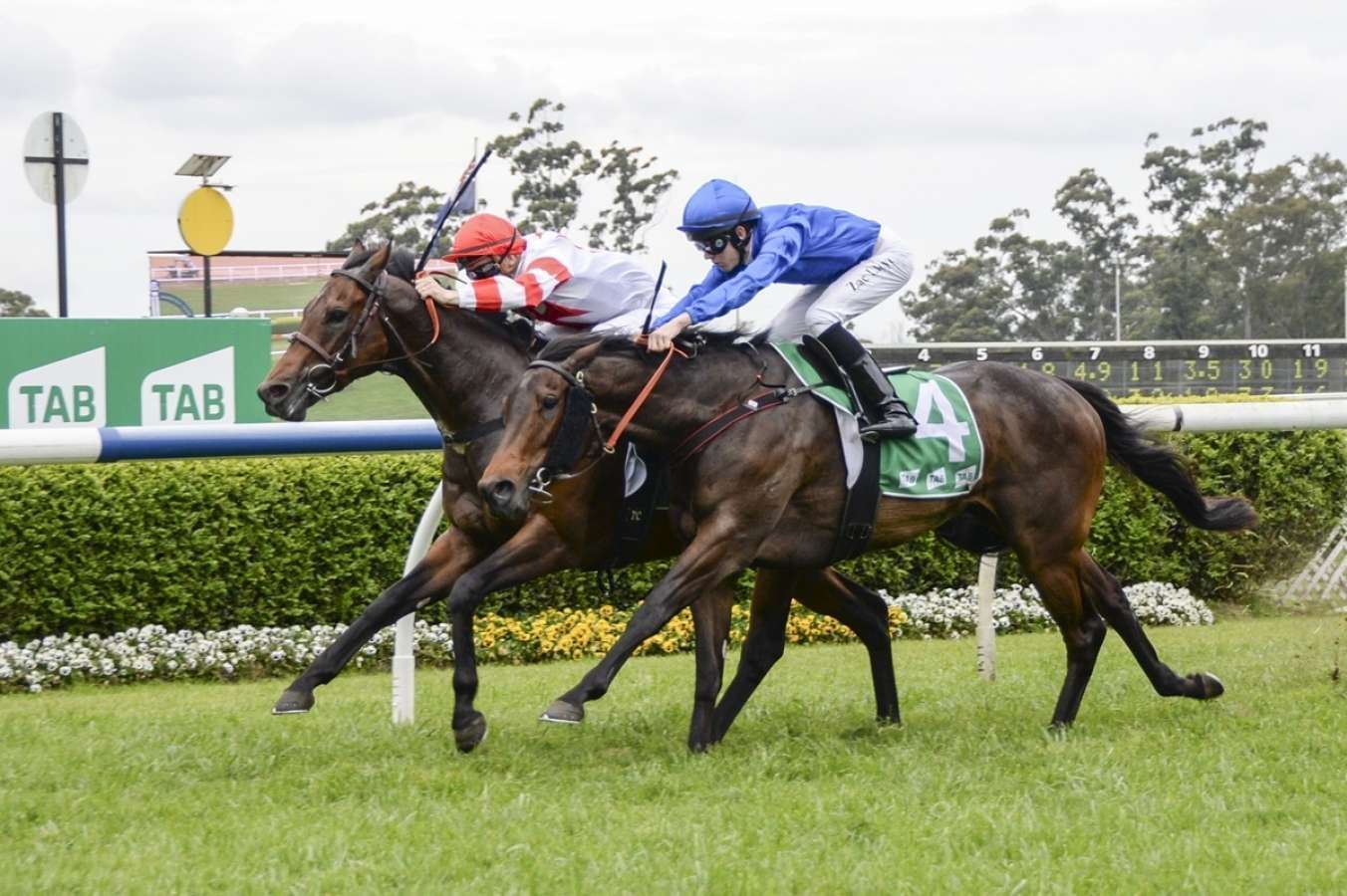 Racing: Wednesday Selections | Odds