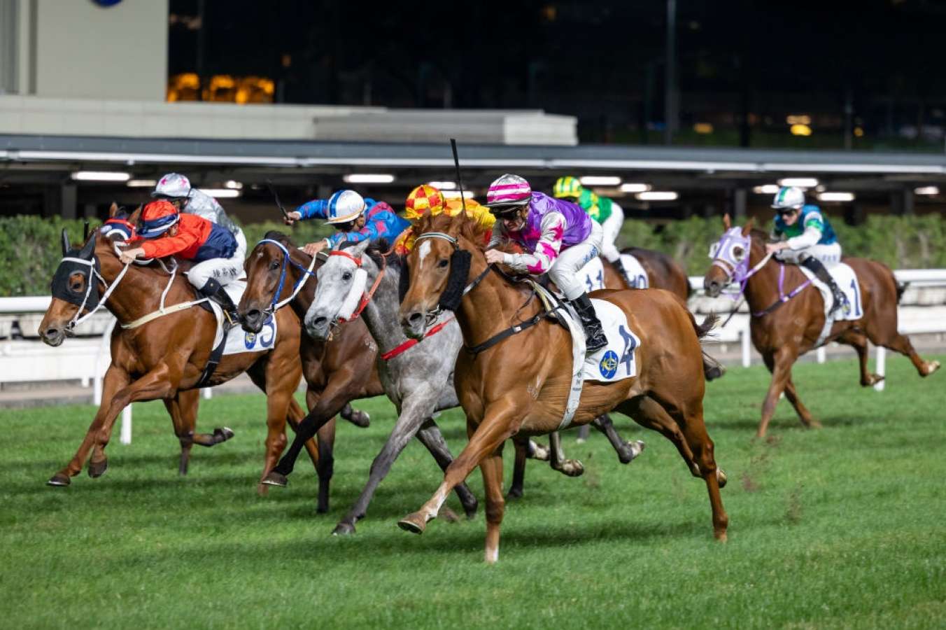 Happy Valley preview and tips: Wednesday, February 8