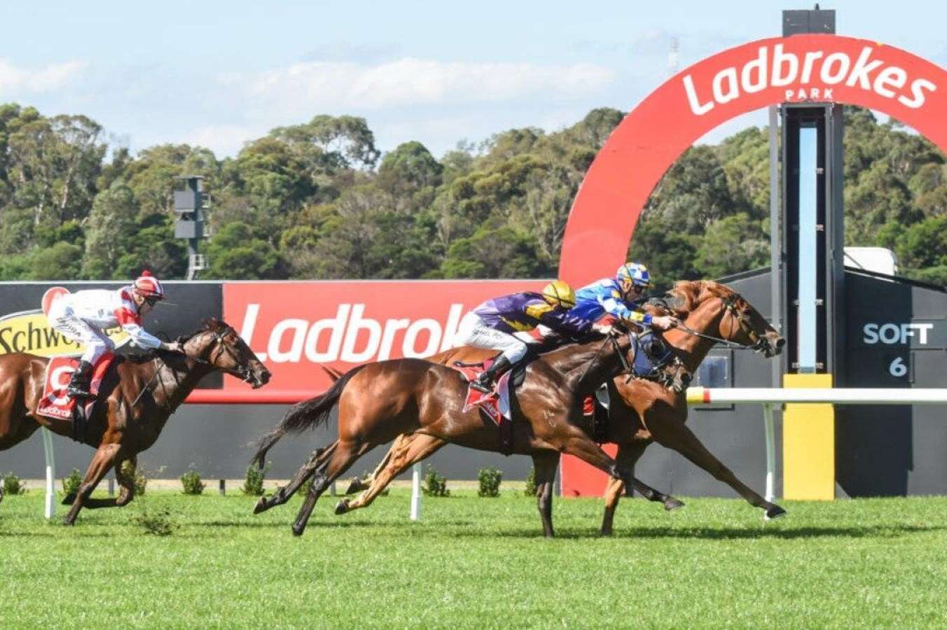 Sandown Hillside preview and tips: Wednesday, September 4