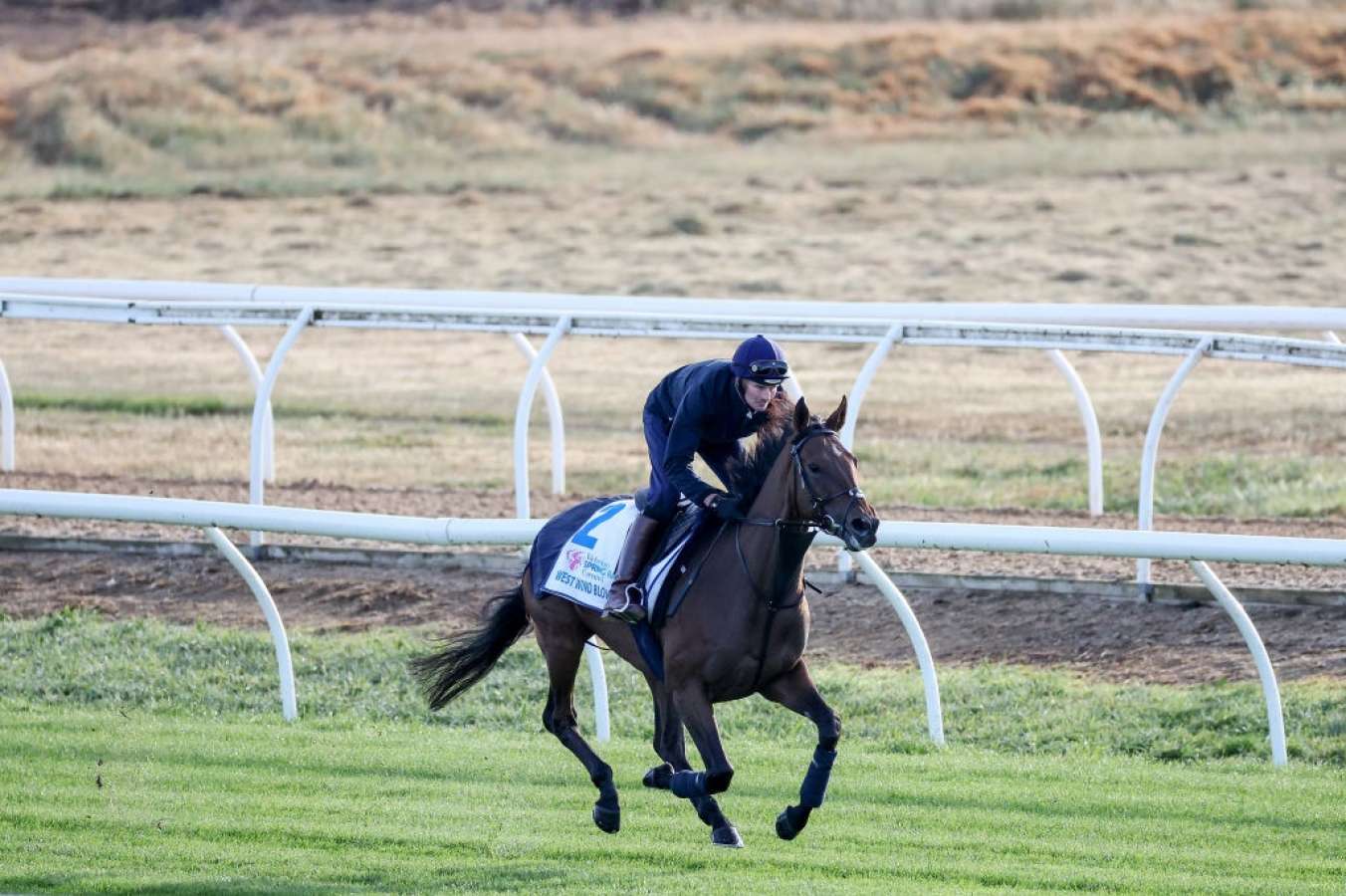Caulfield Cup hope West Wind Blows 'will be competitive' in Turnbull Stakes