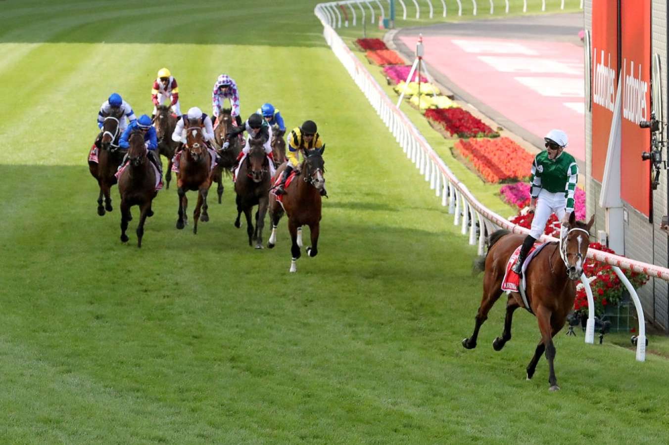 Punters post-race: Cox Plate day in review