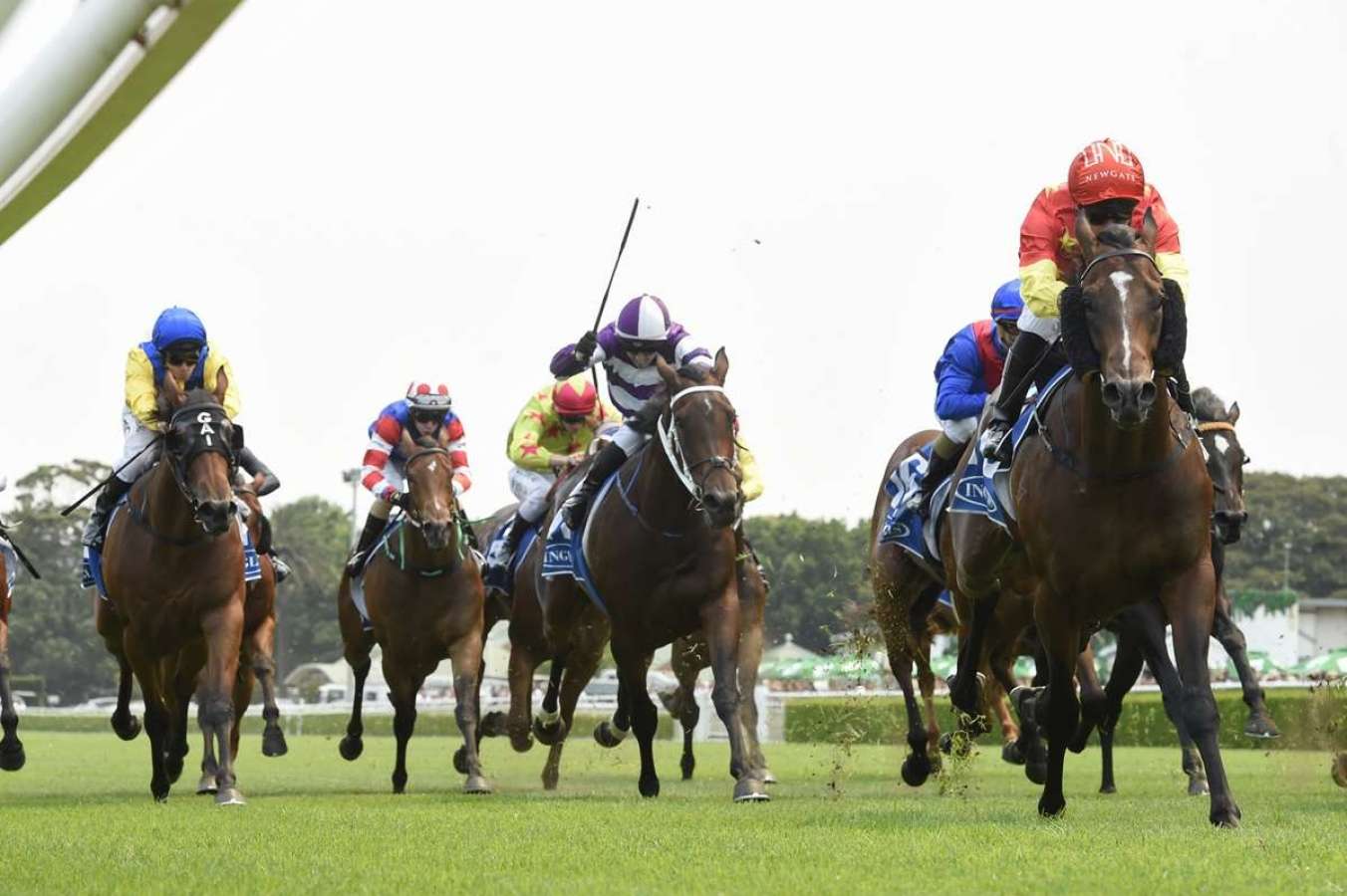 J J Atkins plans for Sydney colt Wild Ruler