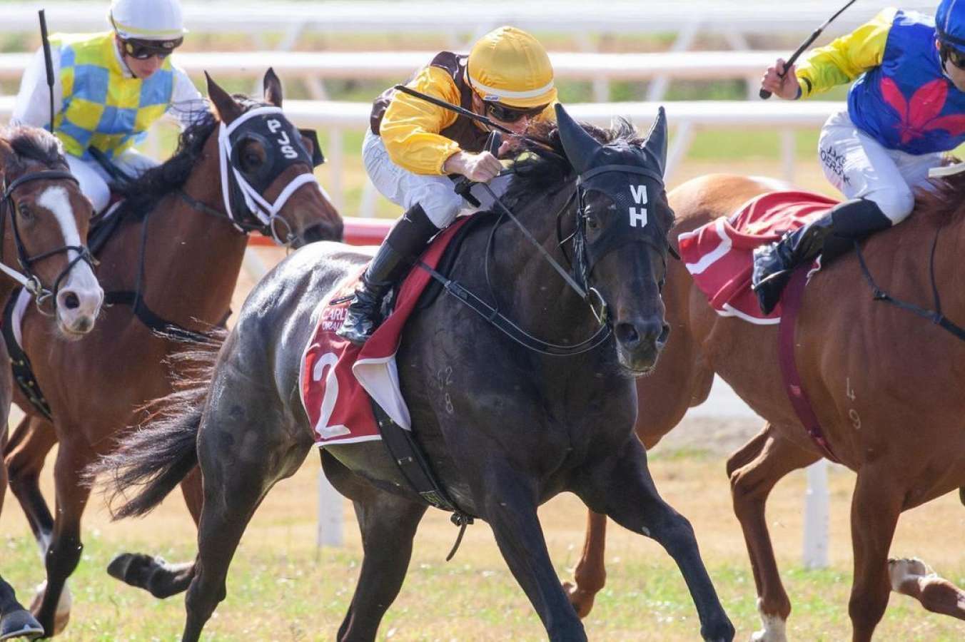 Michael Hickmott off to a flyer, Dom Tourneur snares Murray Bridge treble