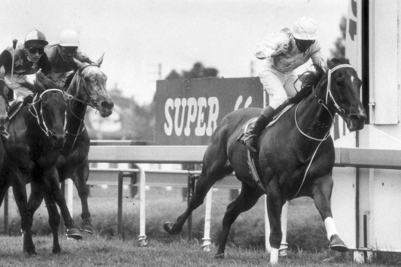 Former jockey Gary Willetts remembers when he won the 1974 Cox Plate ...