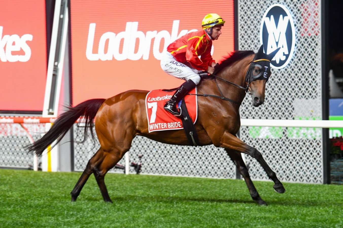 Winter Bride poised for farewell victory at Eagle Farm