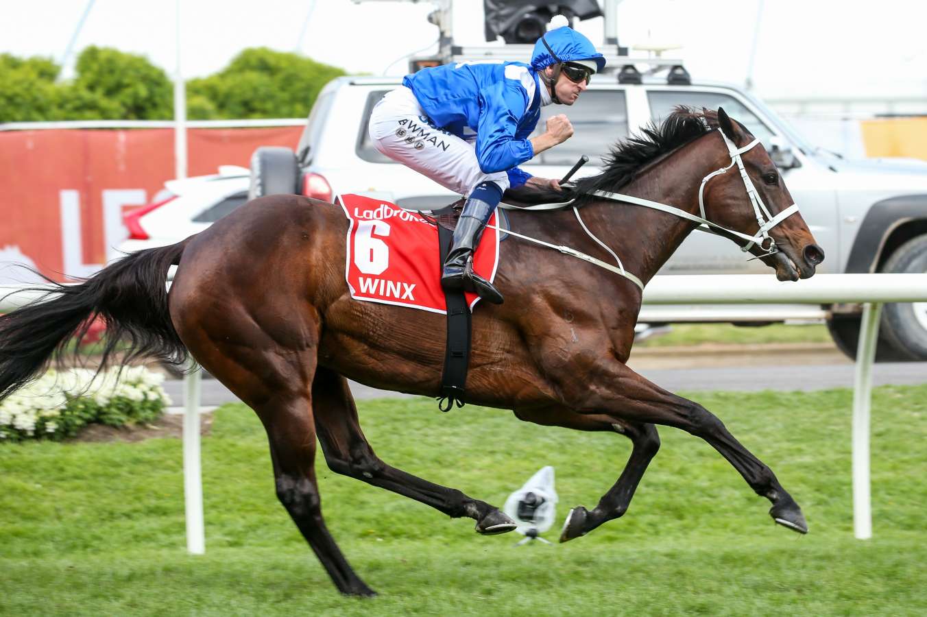 Winx creates Cox Plate history