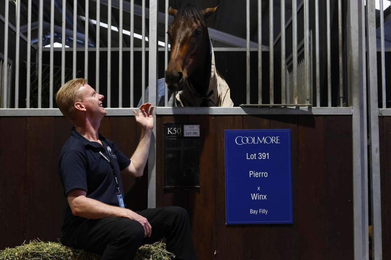 Winx's only living foal sells for a world record $10 million