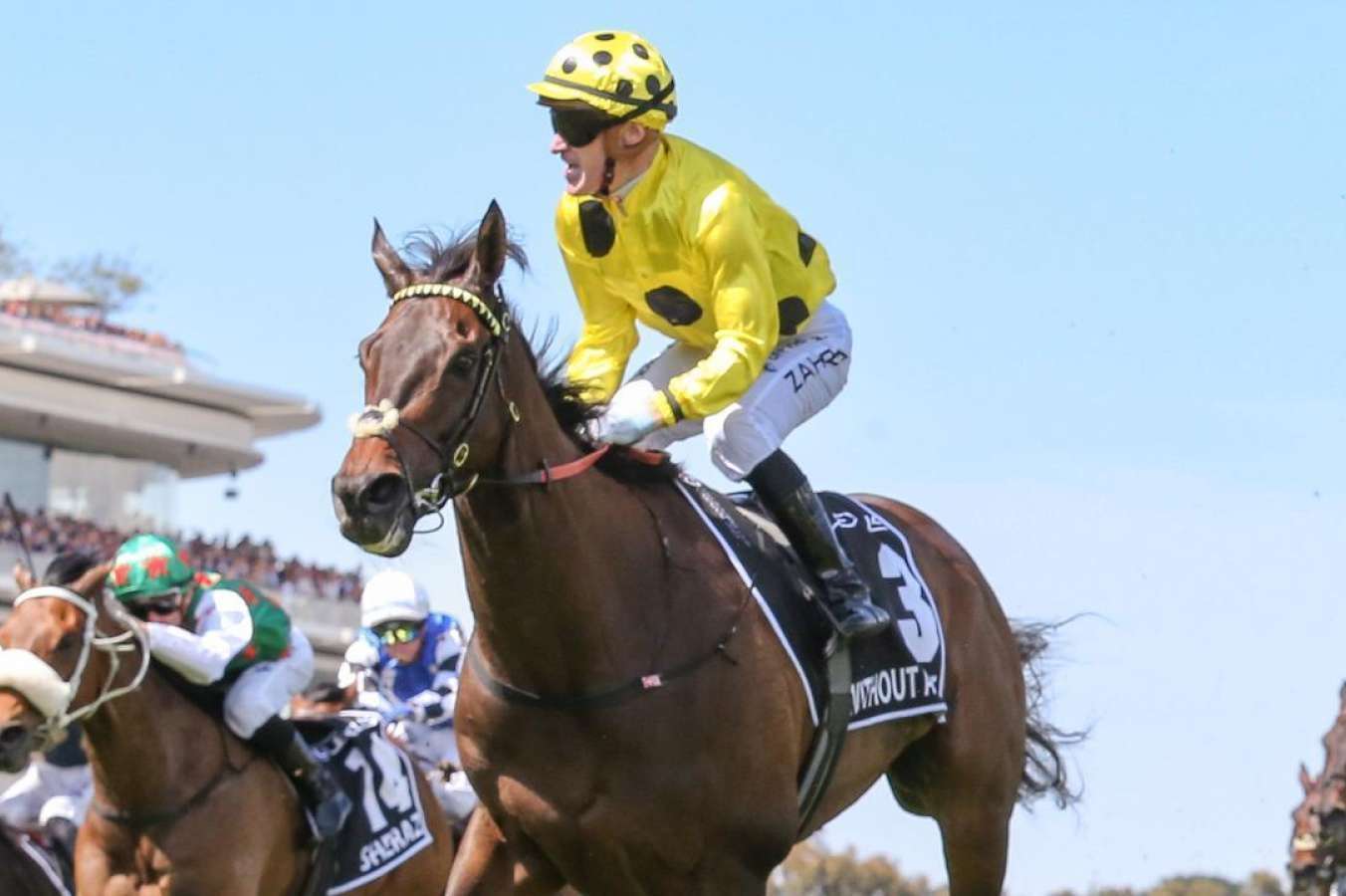 Melbourne Cup champ Without A Fight retired