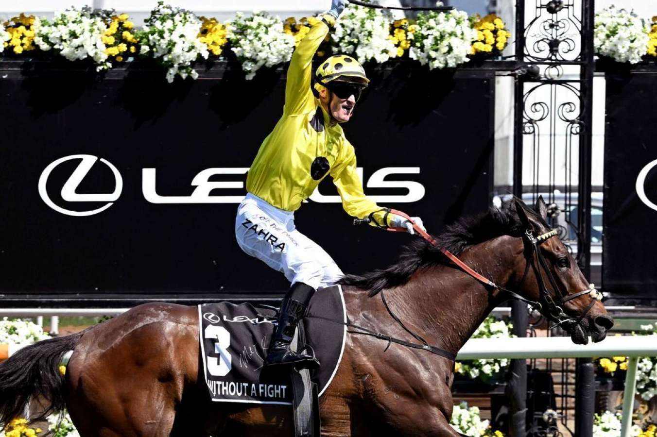 Healing guru Lee Evison gives Melbourne Cup hero thumbs up for spring ...