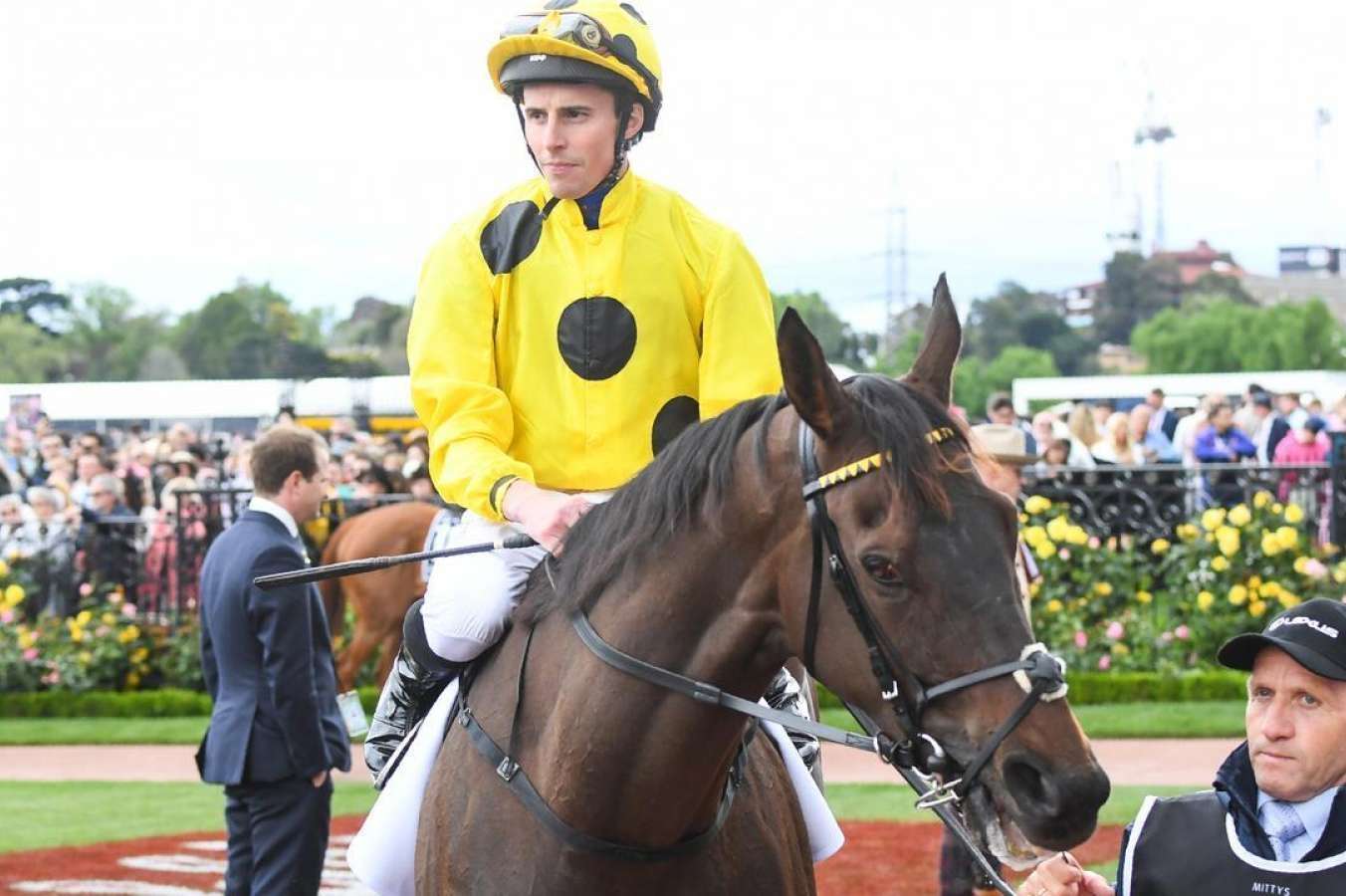 Anthony and Sam Freedman considering Zipping Classic run for Without A ...