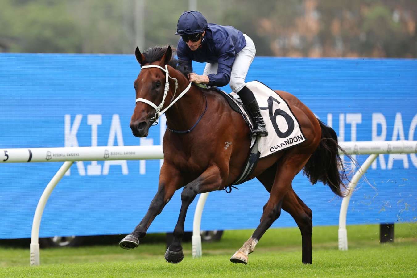 'Five lengths off the pace': Pro punter reveals Wodeton worries for Slipper