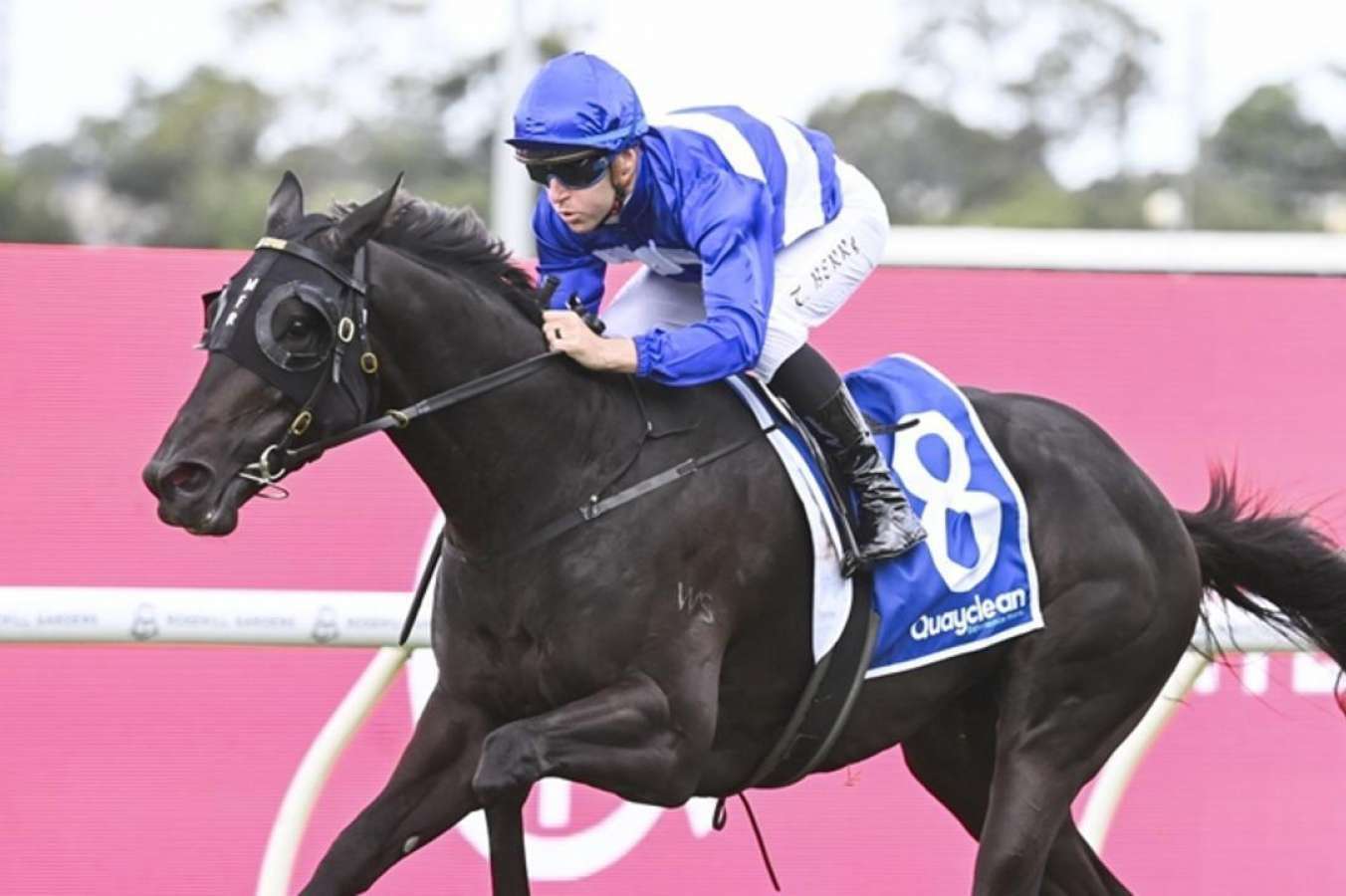 2024 Tulloch Stakes: Michael Freedman-trained Wymark steps up