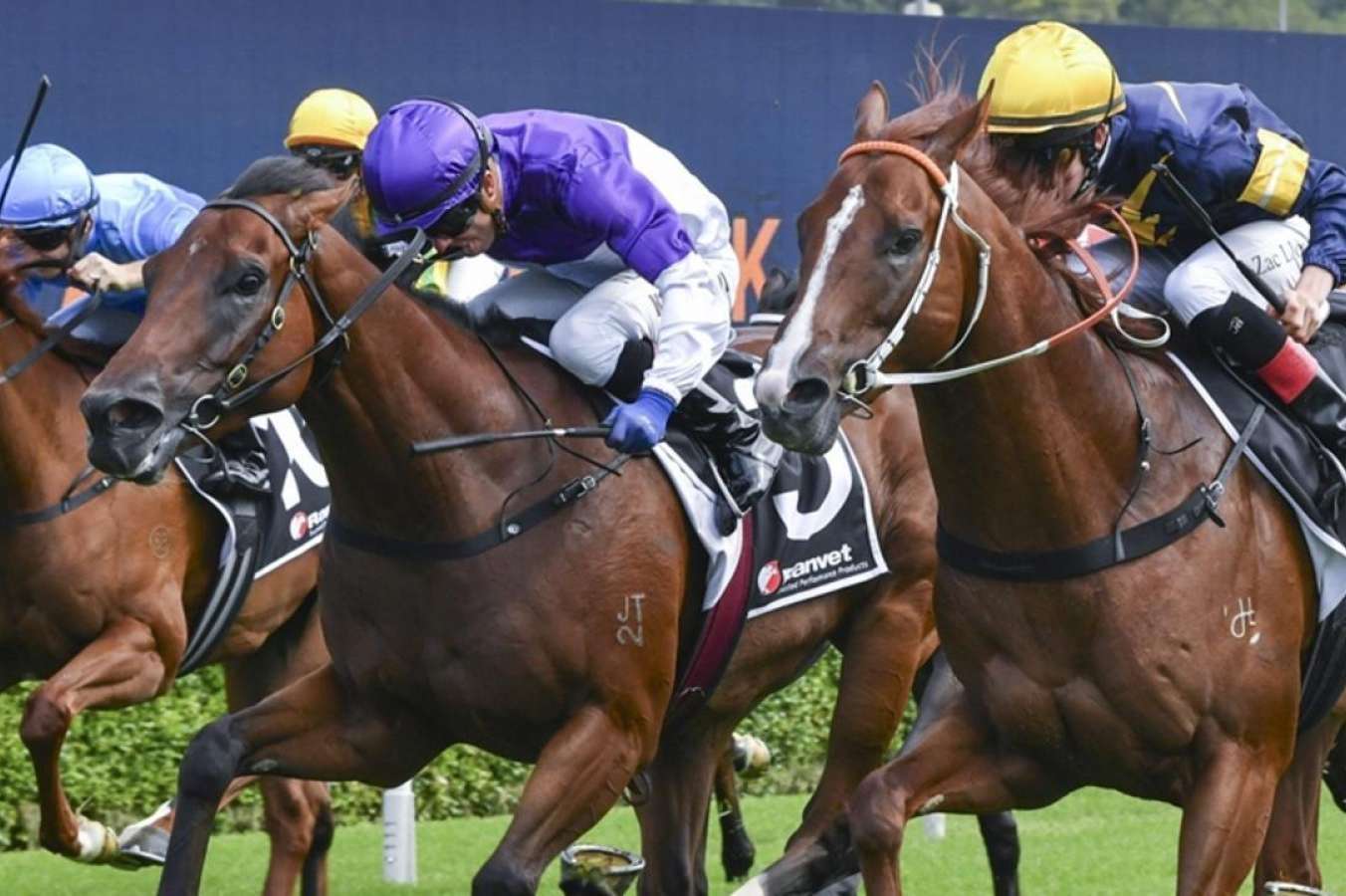 Snowden hopes Xidaki steps out of the shadows