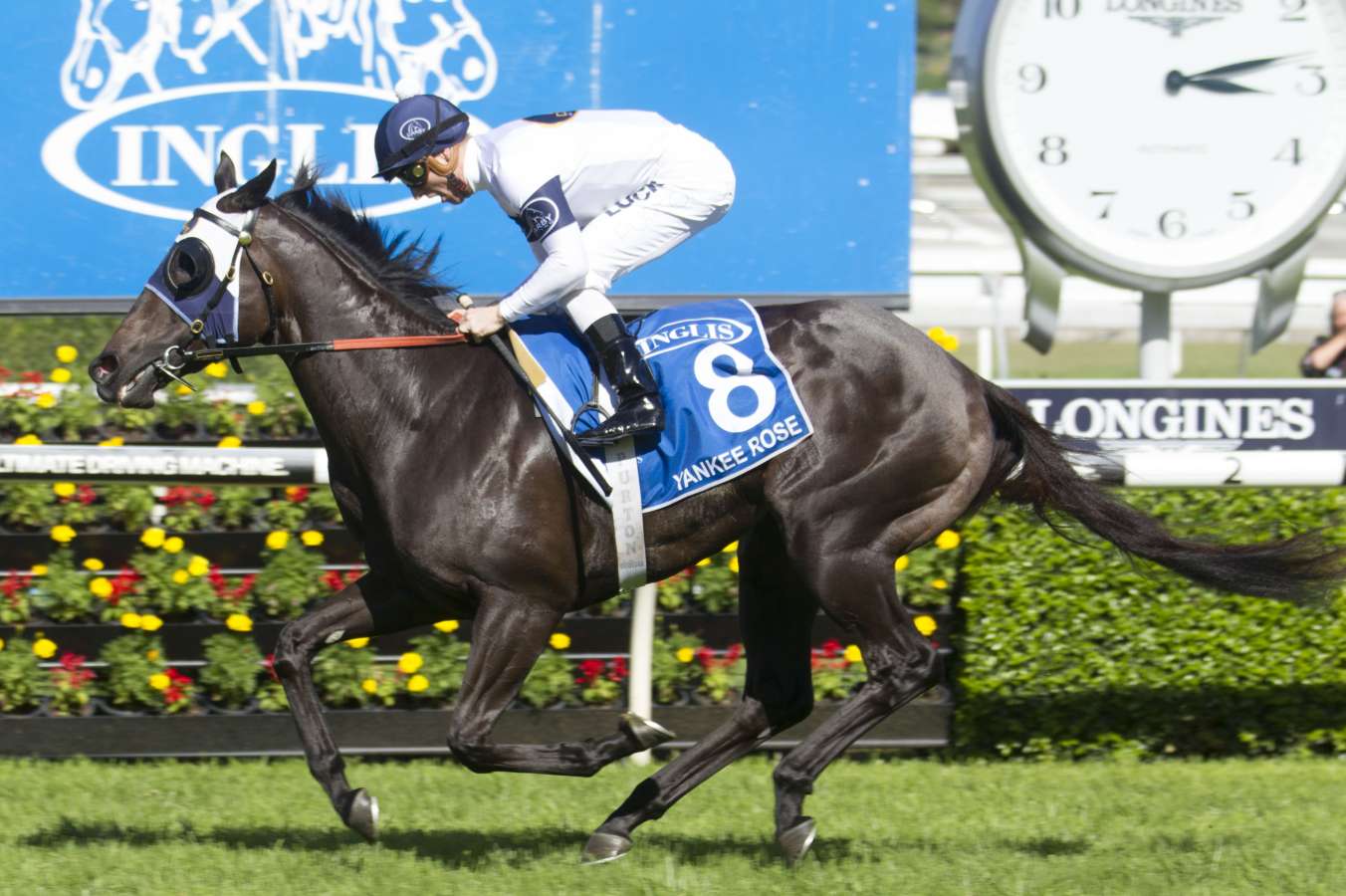 Yankee Rose gets first look at Caulfield
