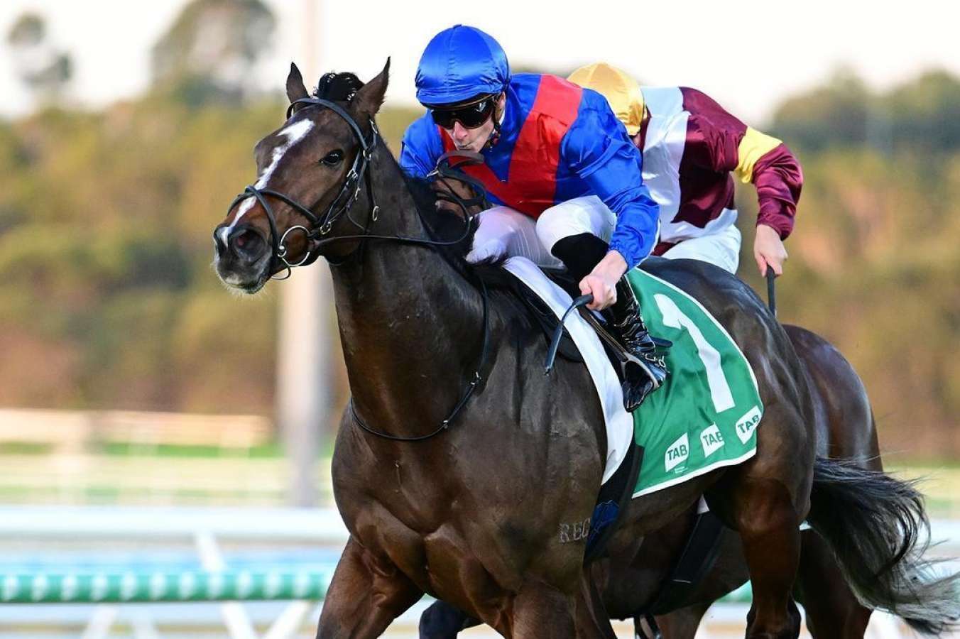 2023 Doomben Cup field and barrier draw