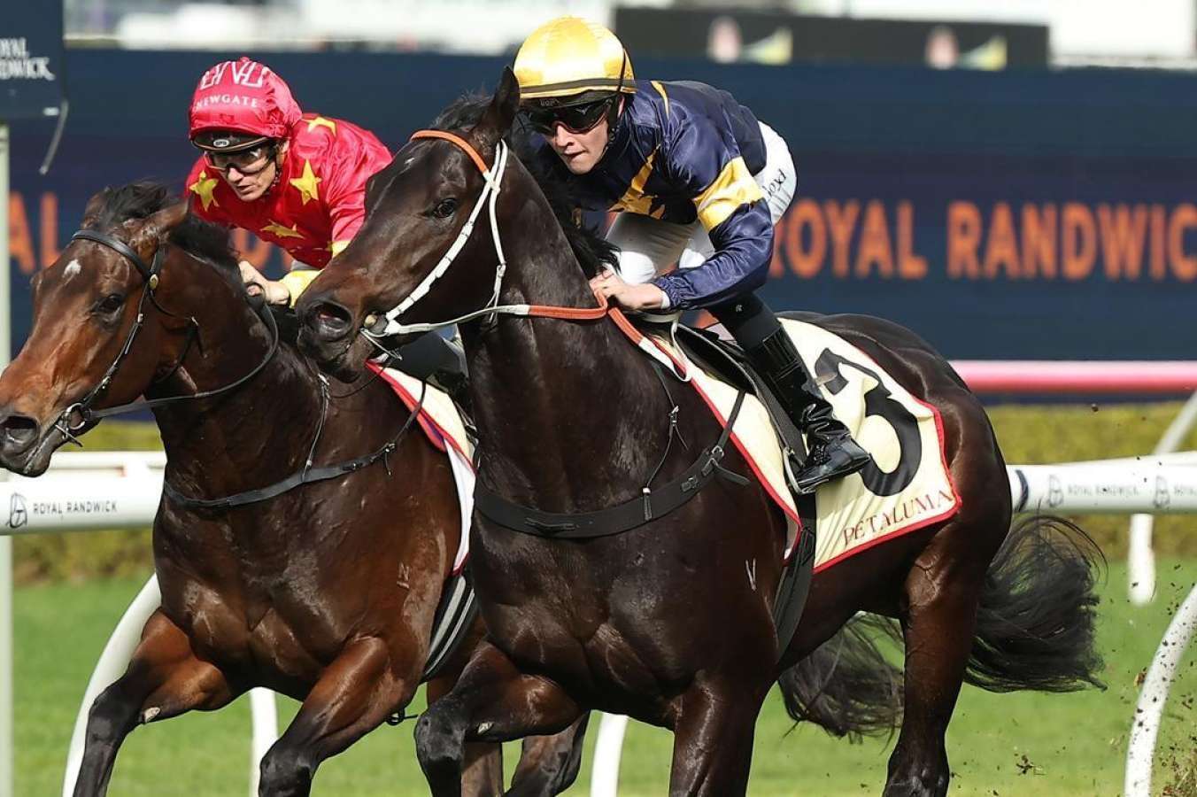 Brave One all class in impressive debut victory at Randwick